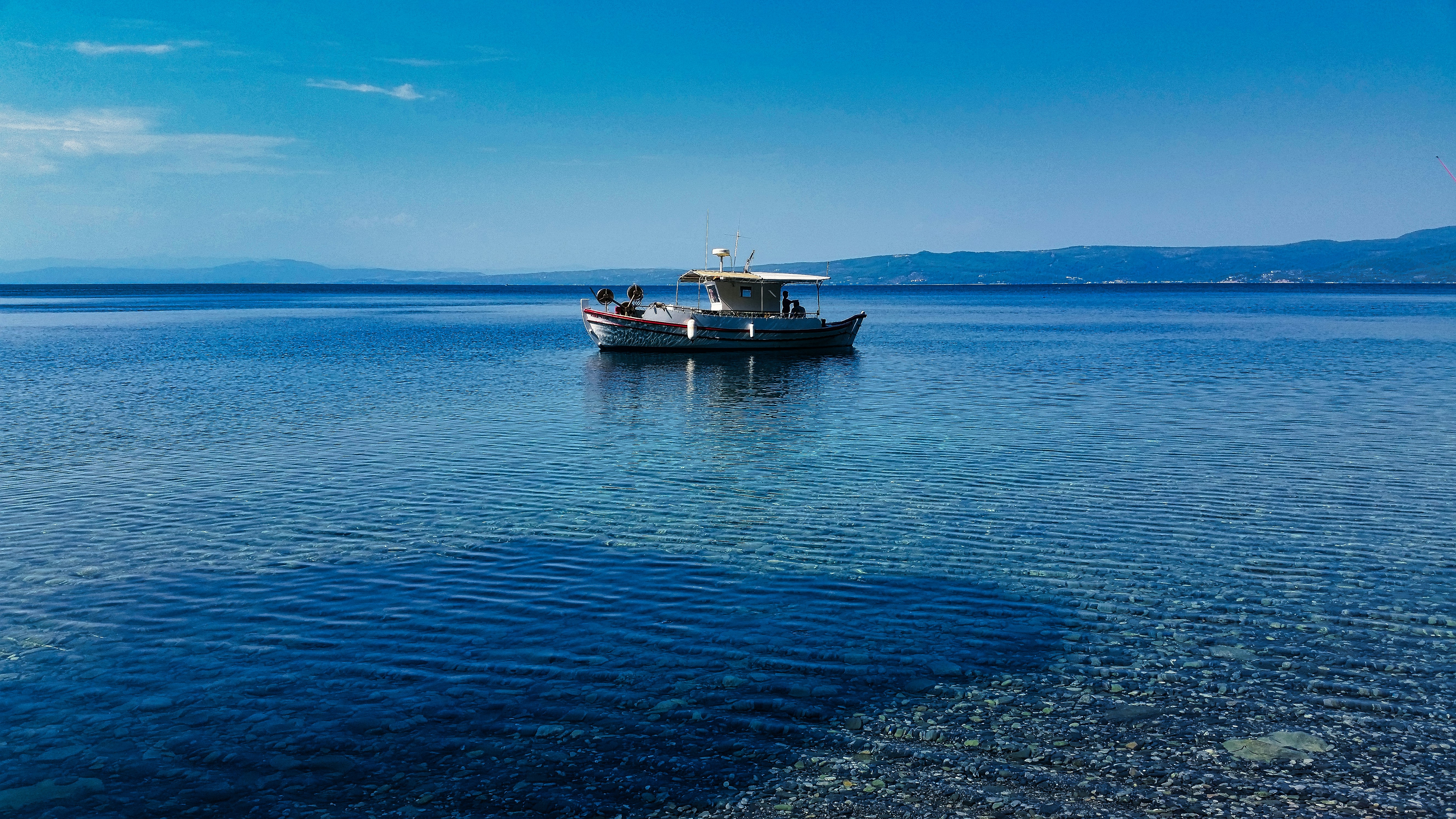 Blue Lizard (@bluelizard) | Komunitas Foto Unsplash