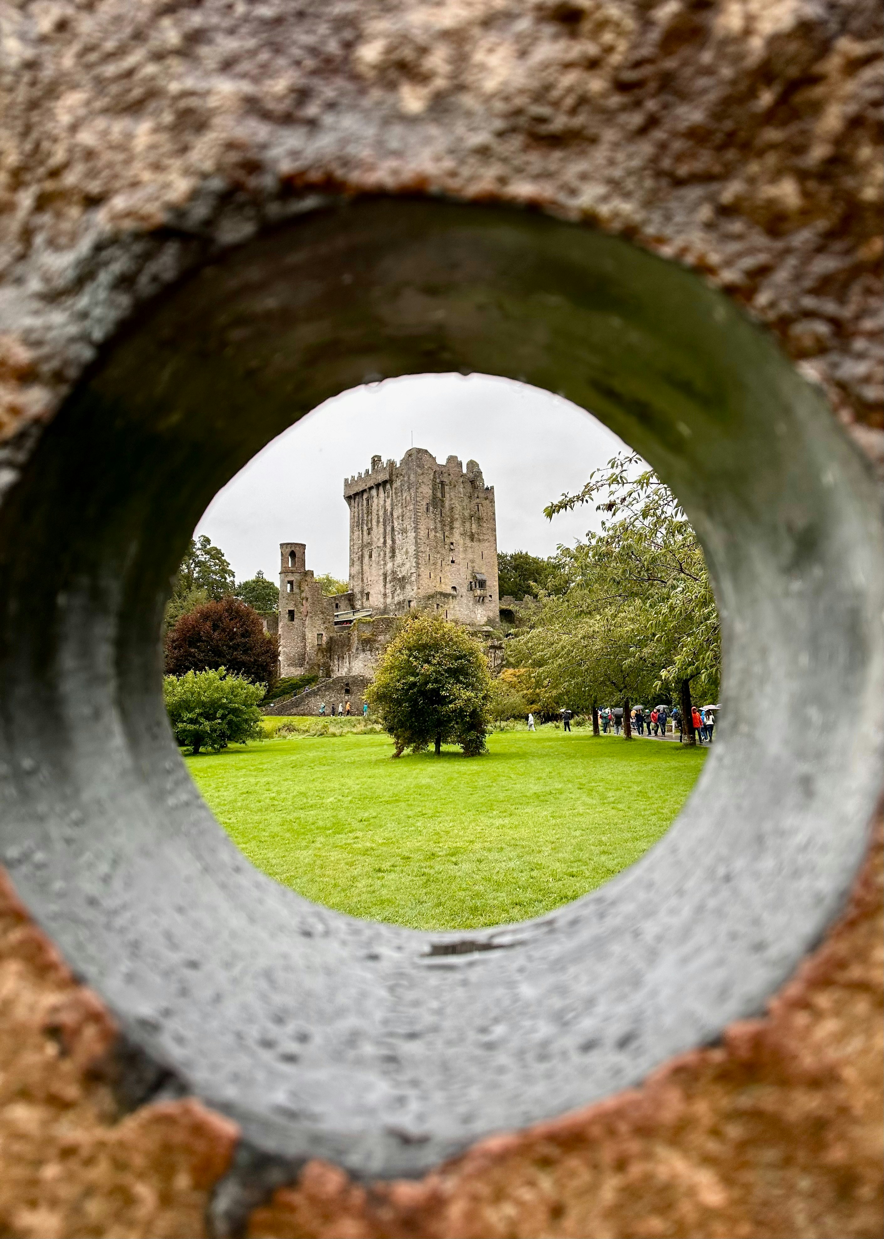 Through a Circular Aperture: Castle Ruins in a Lush Park