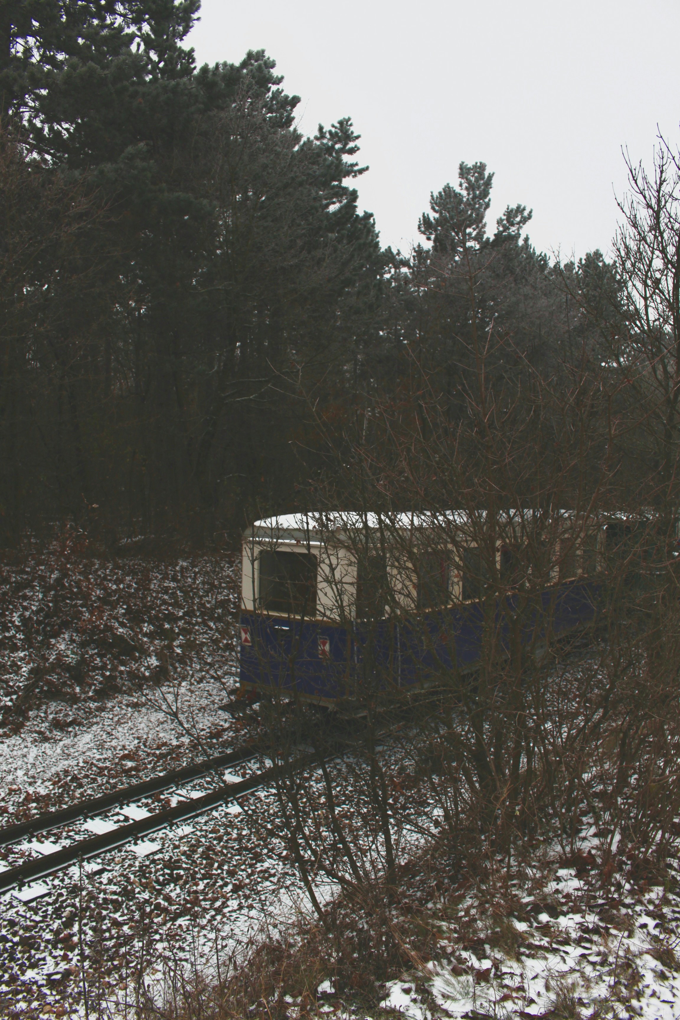 Snow-Dusted Boxcar on a Quiet Railside Among Winter Pines