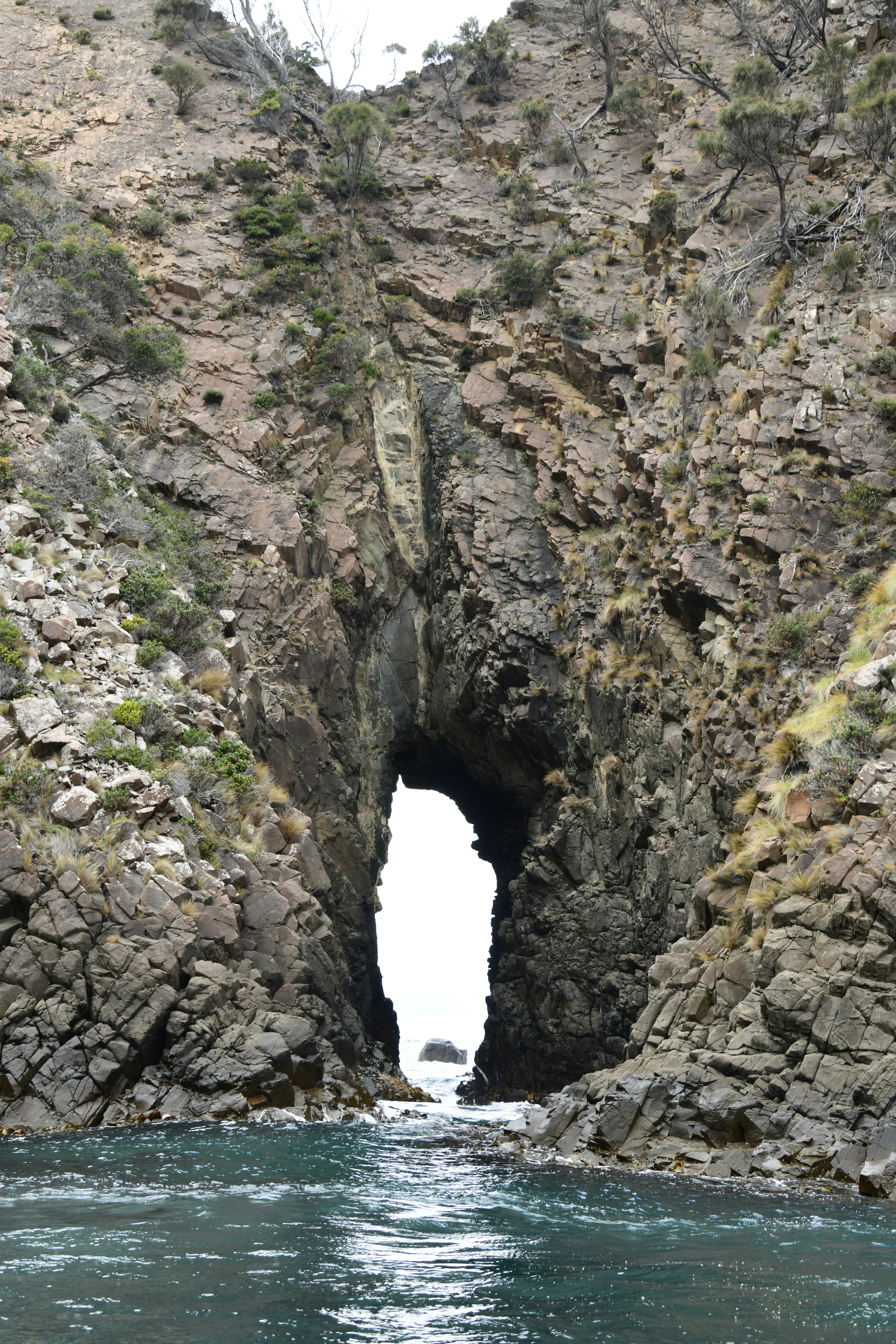 Photo by Richard Lin with Nikon D850