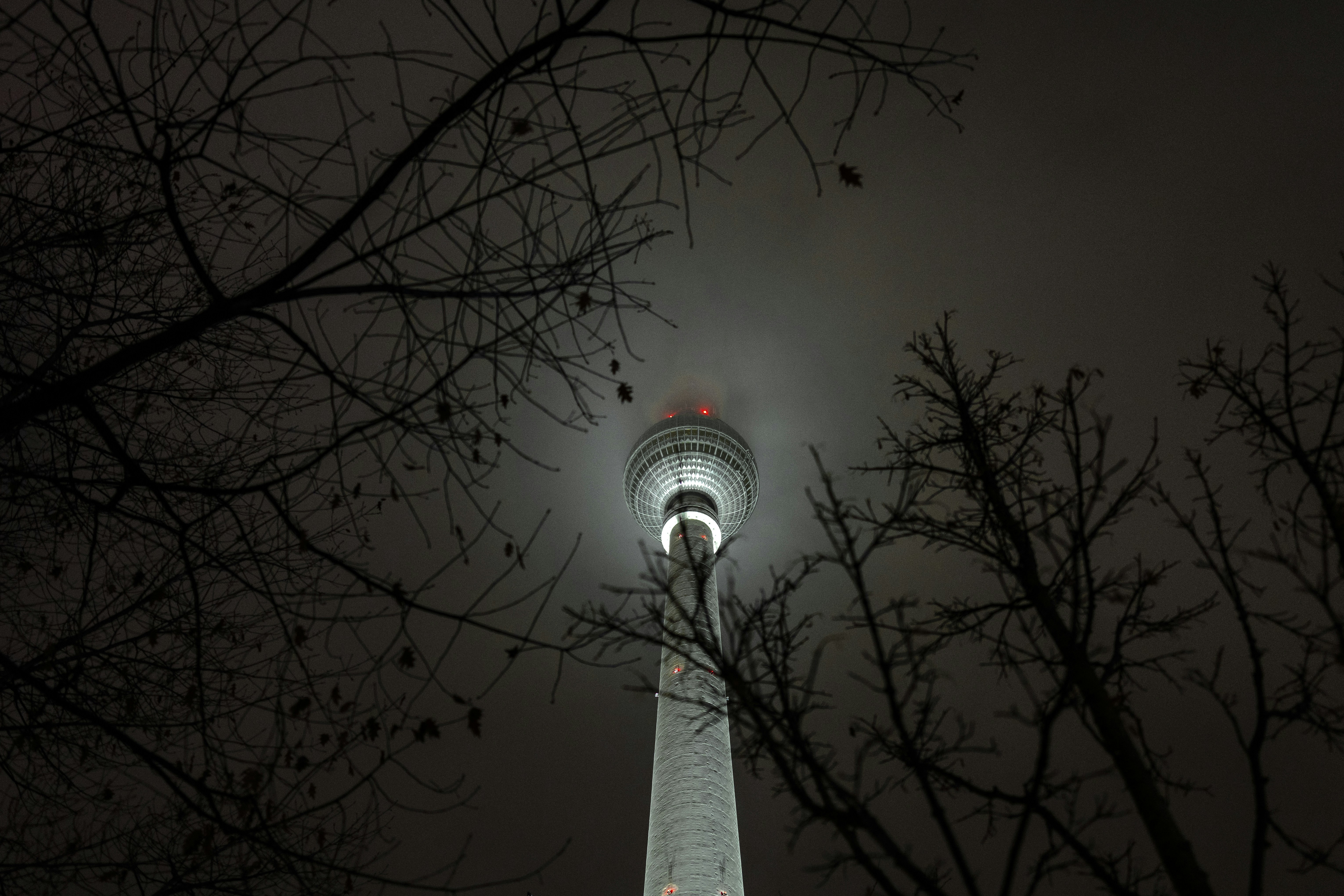 Night Beacon Through Fog: Tower Ascends Above Bare Branches
