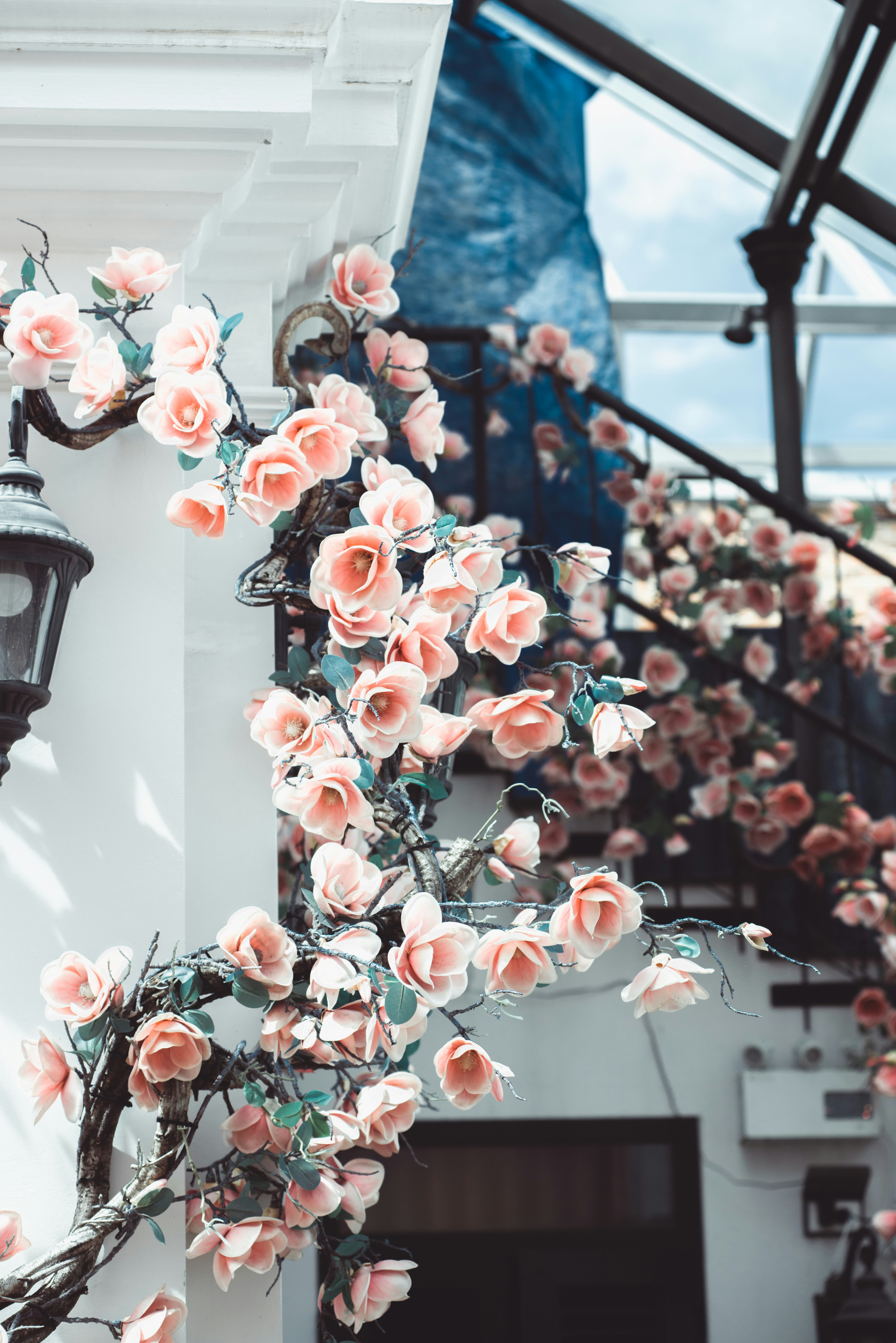 Blossoms on a White Terrace under a Glass Atrium
