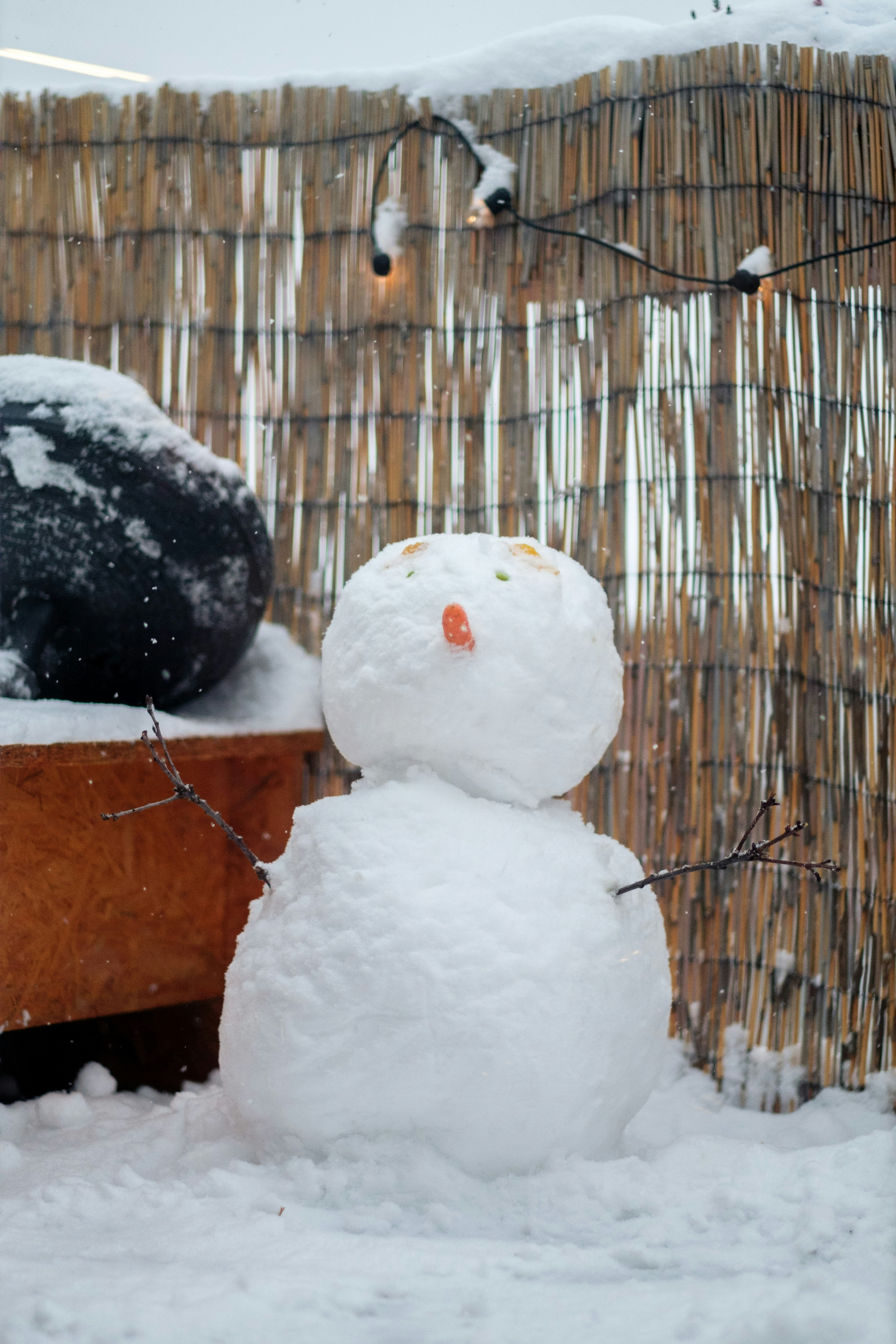 A snowman in front of a bamboo fence photo – Free Winter Image on Unsplash