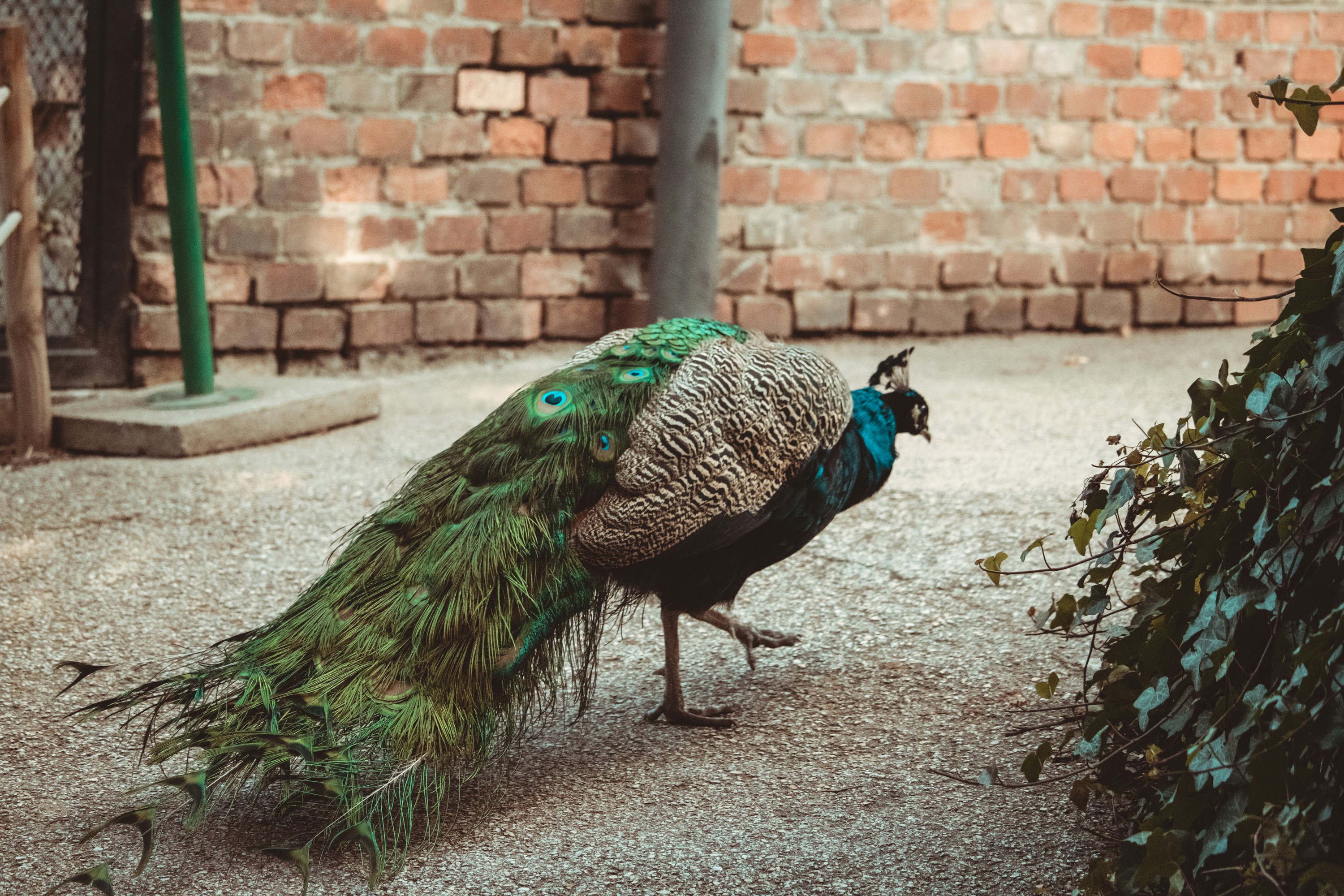 Photo by Jan Oblak with Canon EOS 1300D