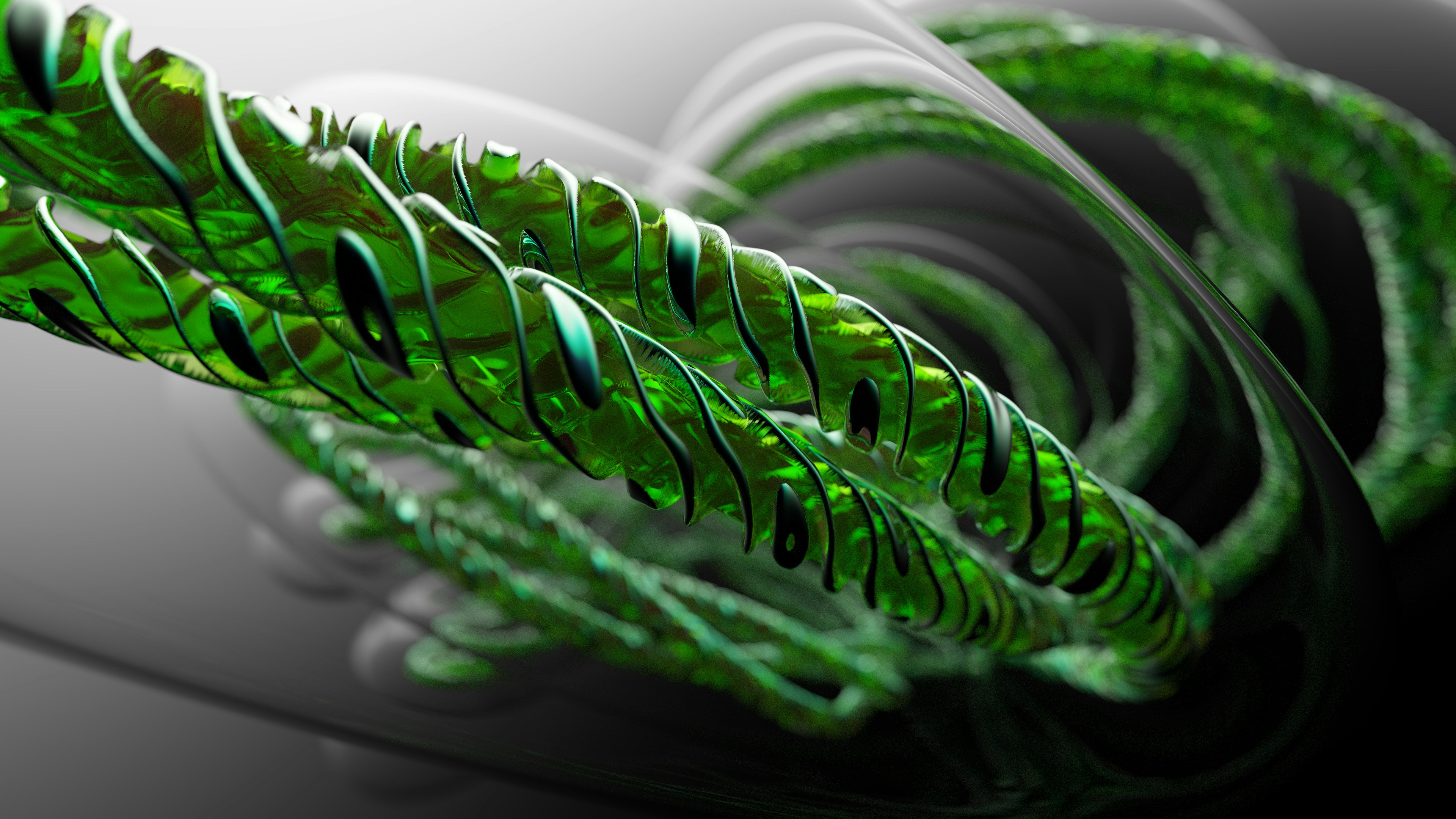 A close up view of a green plant photo – Free Torus knot Image on Unsplash