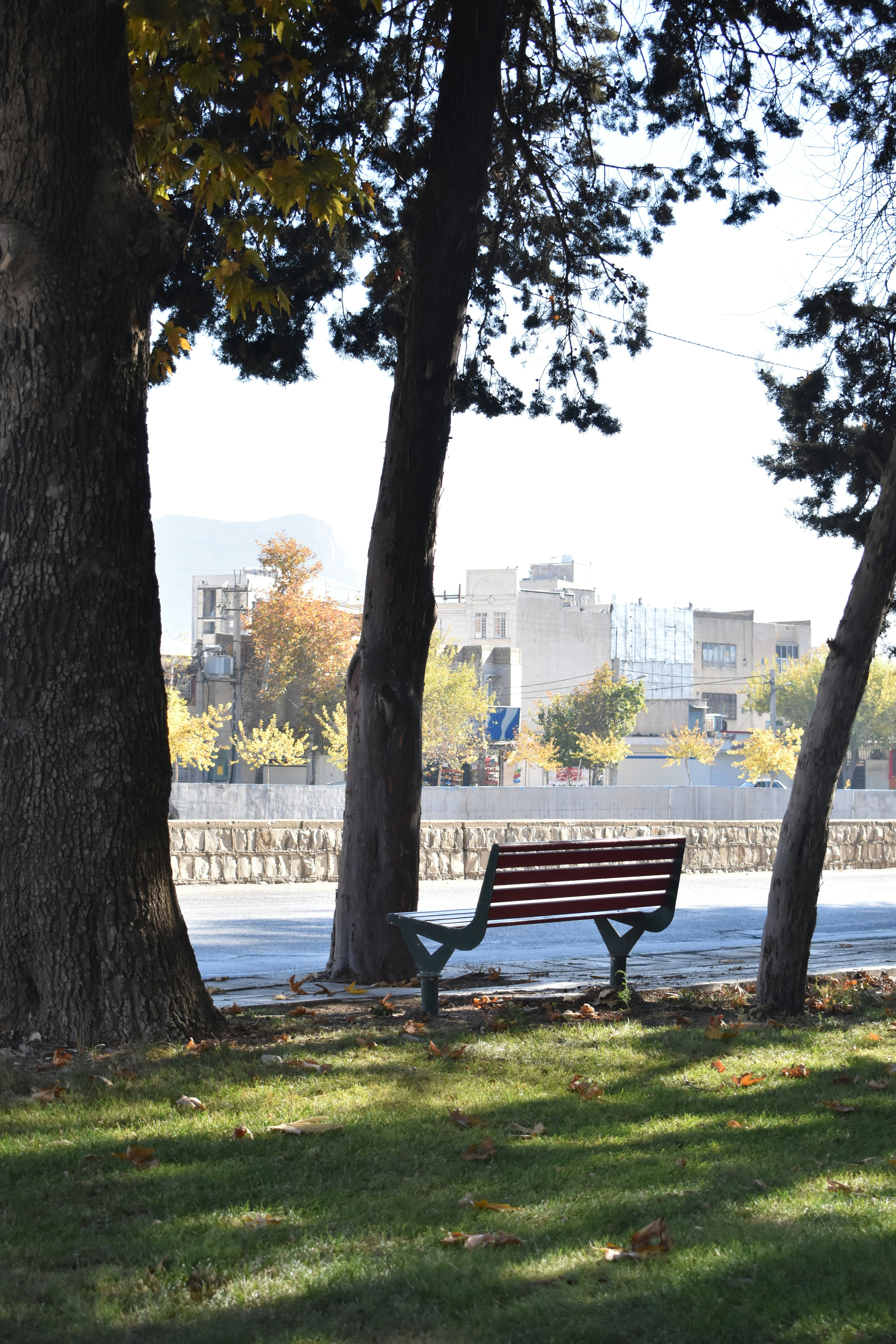 A park bench sitting between two large trees photo – Free Lorestan ...