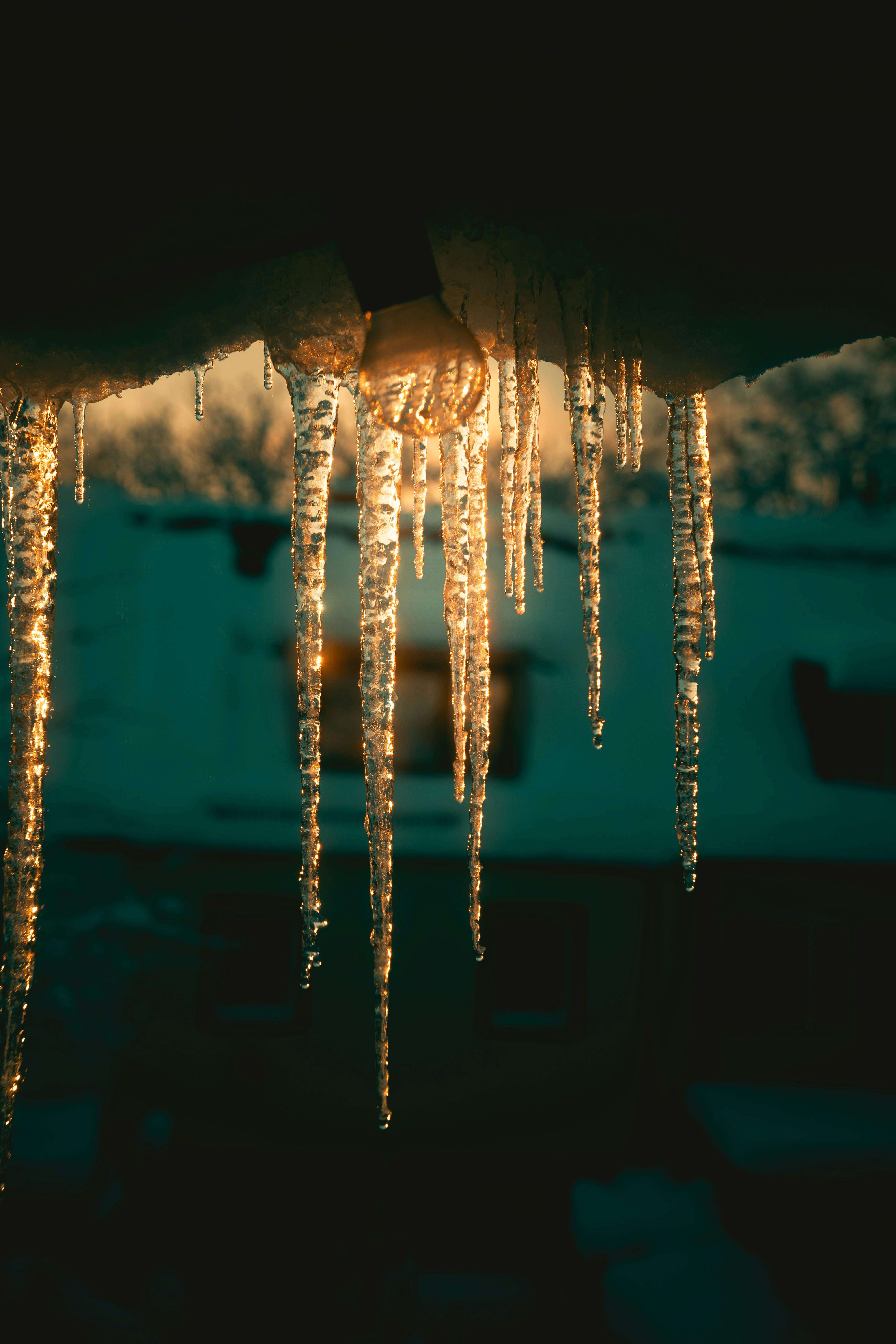 Photo by Emanuel Haas with Sony Alpha 7C