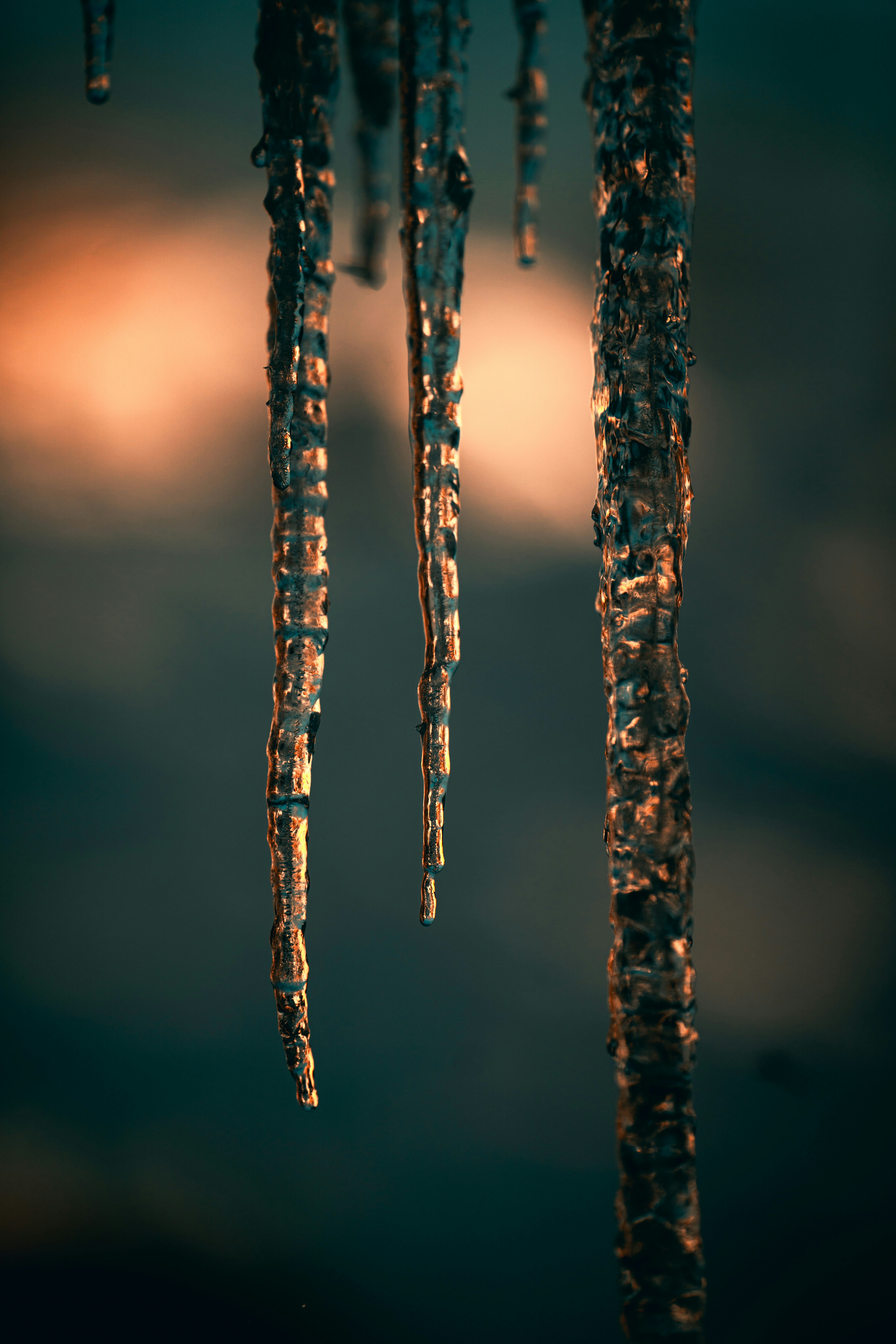 Ember-Backlit Icicles: Delicate Glassy Threads in Twilight