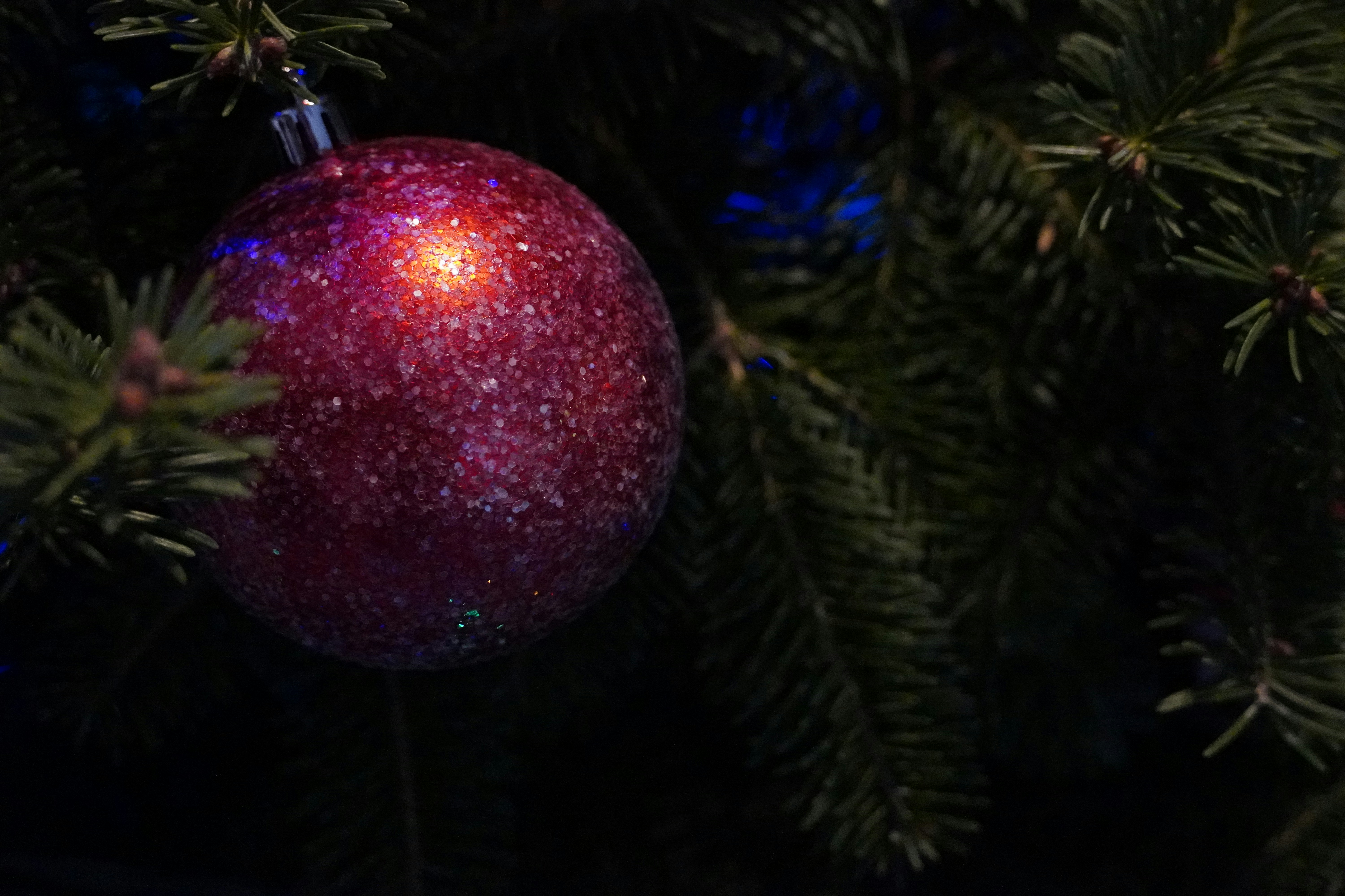 a red ornament hanging from a christmas tree