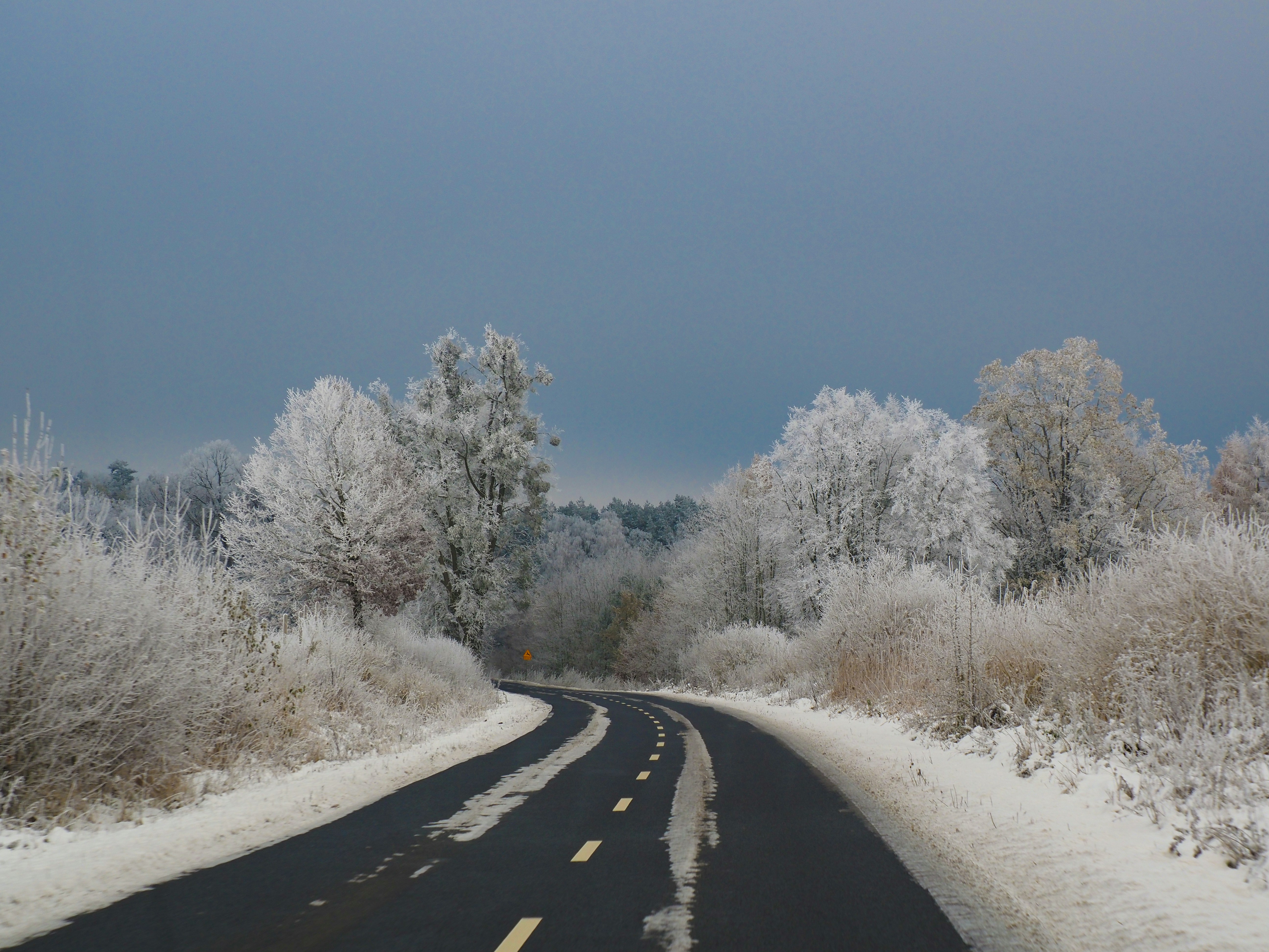 Curving road lined with frosted trees under a moody sky, evoking a serene winter landscape. The scene captures the quiet beauty of a snow-covered path.