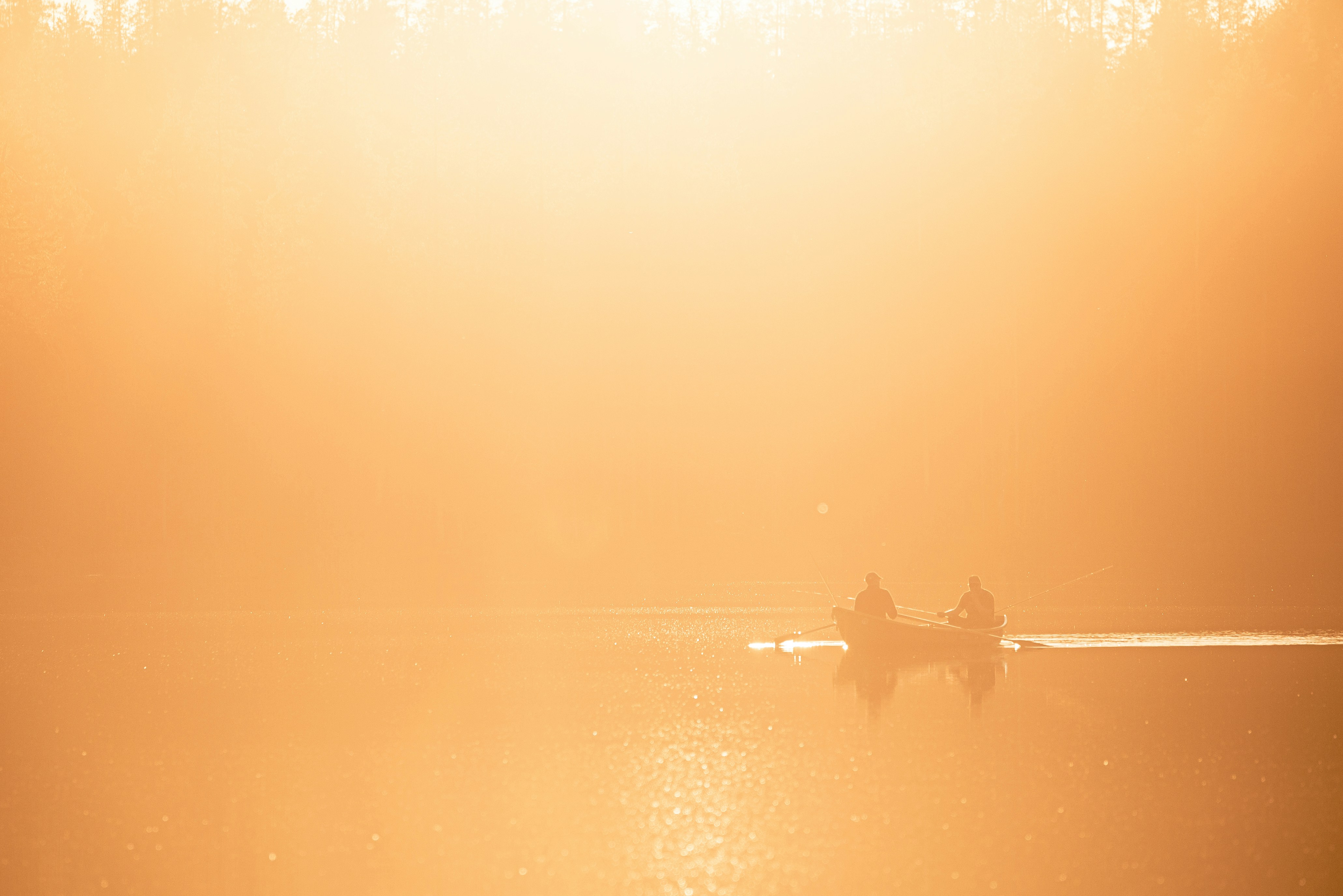 Two people in a row boat on a misty lake photo – Free Summer Image on ...
