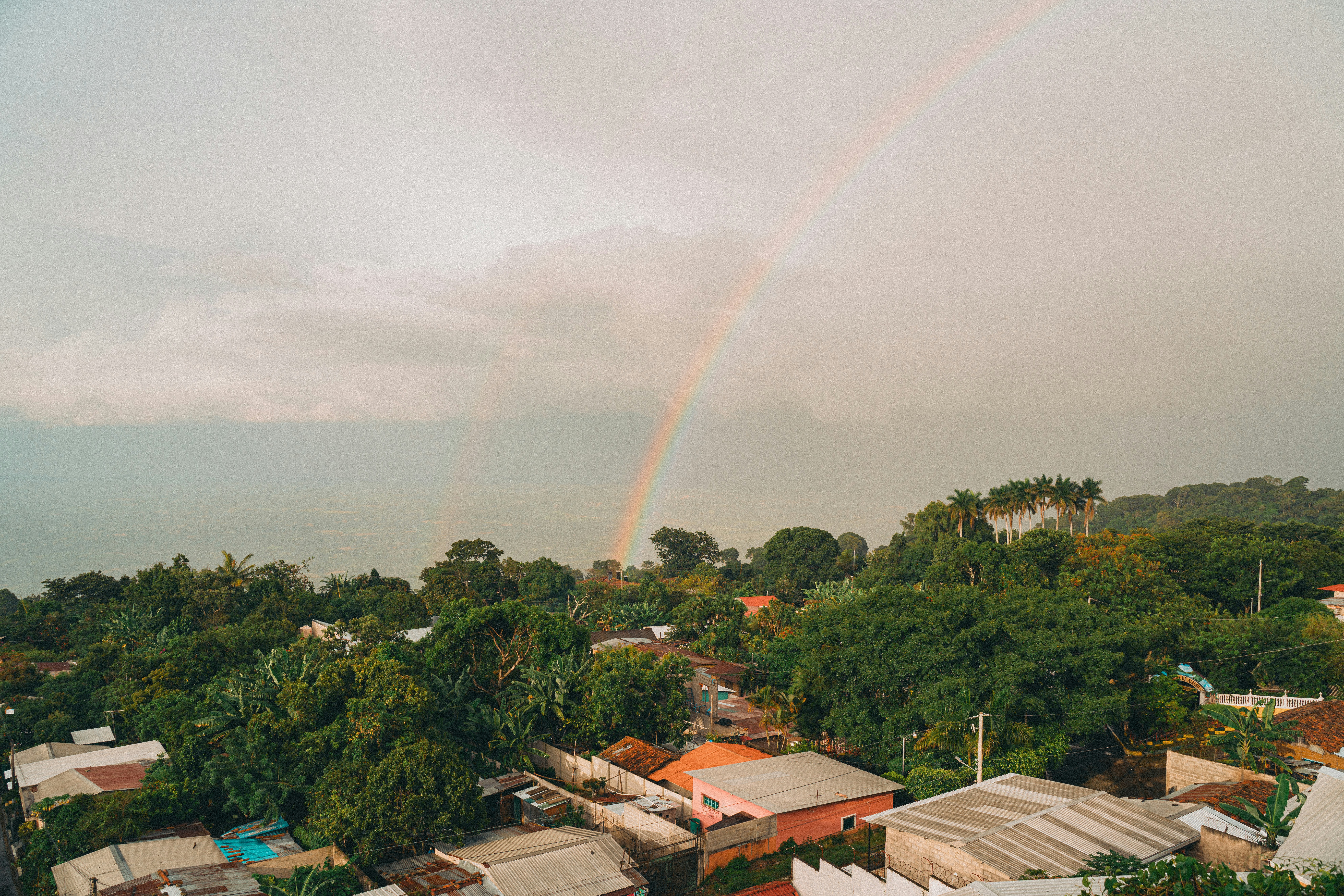 Rainbow Over the Canopy: An Aerial Portrait of a Quiet Suburb