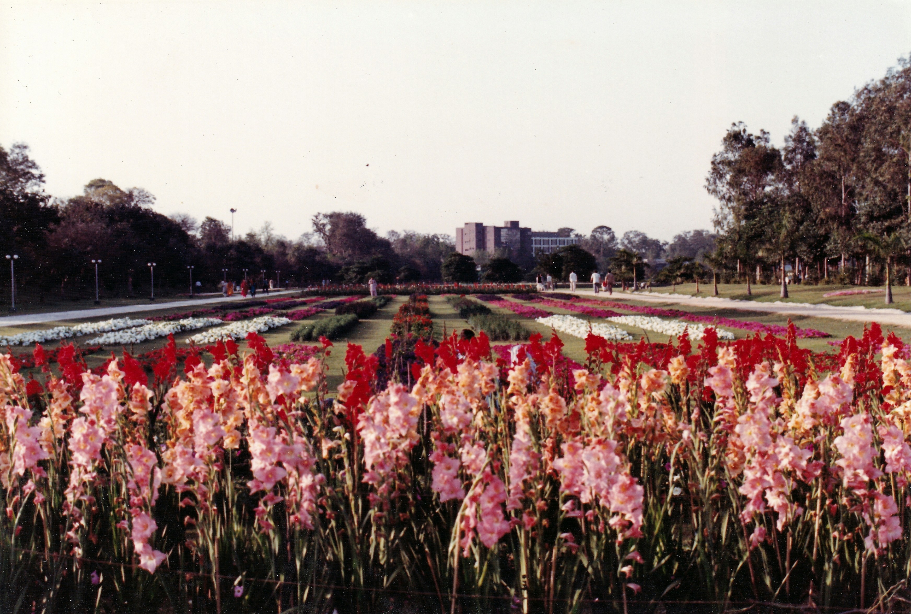 Floral Vista Down the Central Parterre