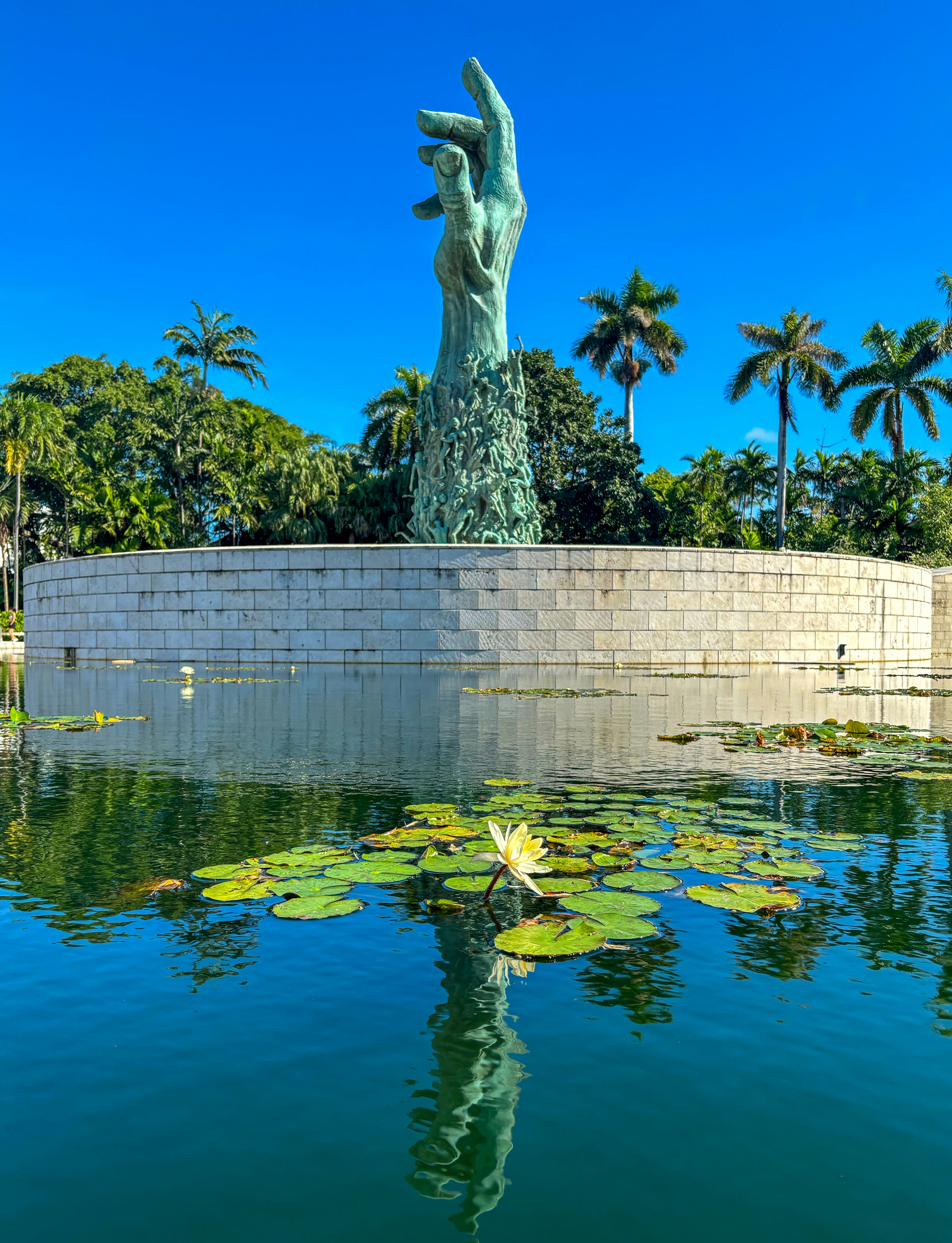 Raise and Reflect: A Hand Reaching Over a Lily-Decked Pool