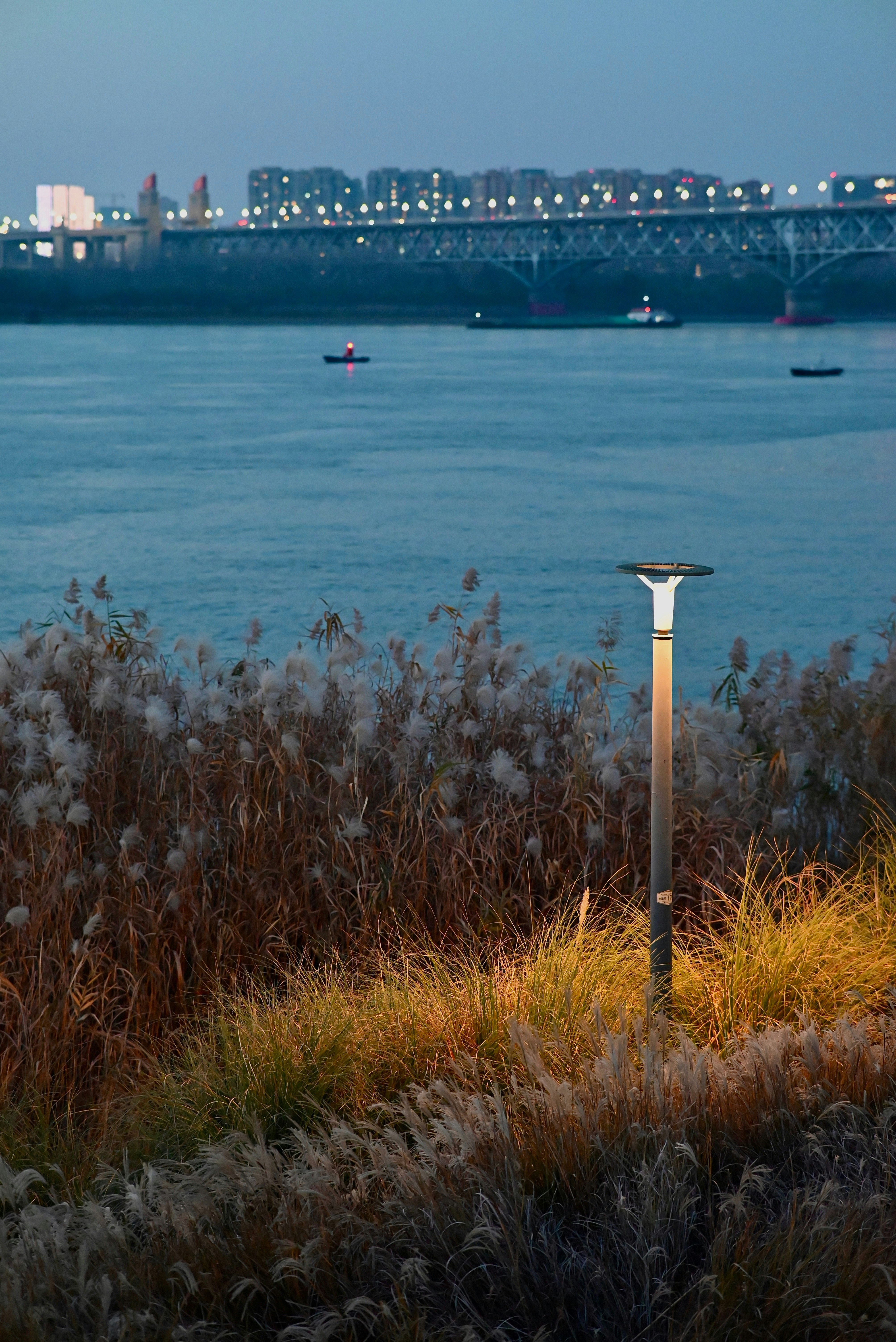 Lamppost Echoes: Riverside Grass and a Distant City Glow