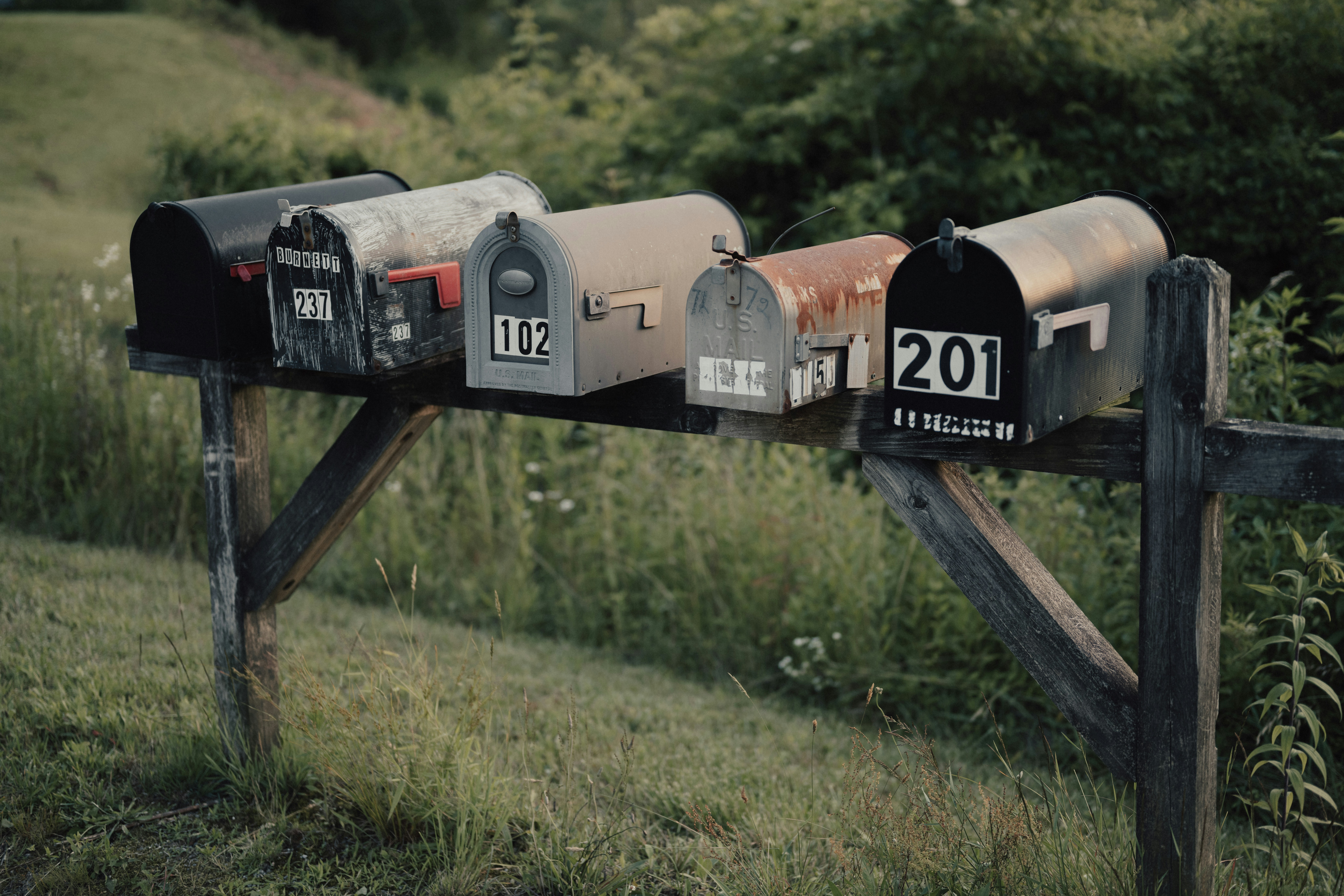 A row of weathered mailboxes, each with distinct numbers and aging finishes, set against a backdrop of lush greenery.