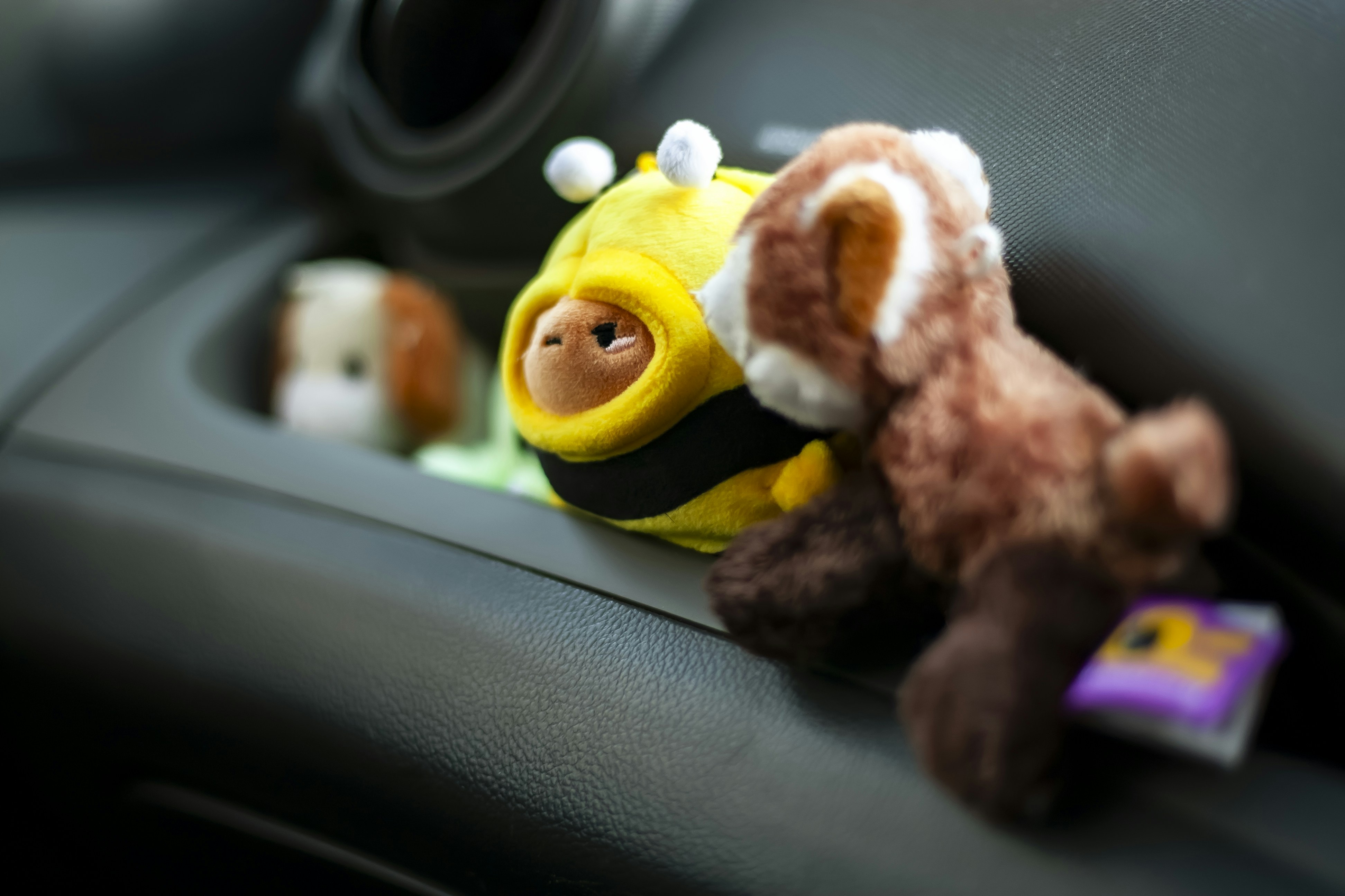 Soft Whimsy on the Car Dash: A Tiny Plush Parade