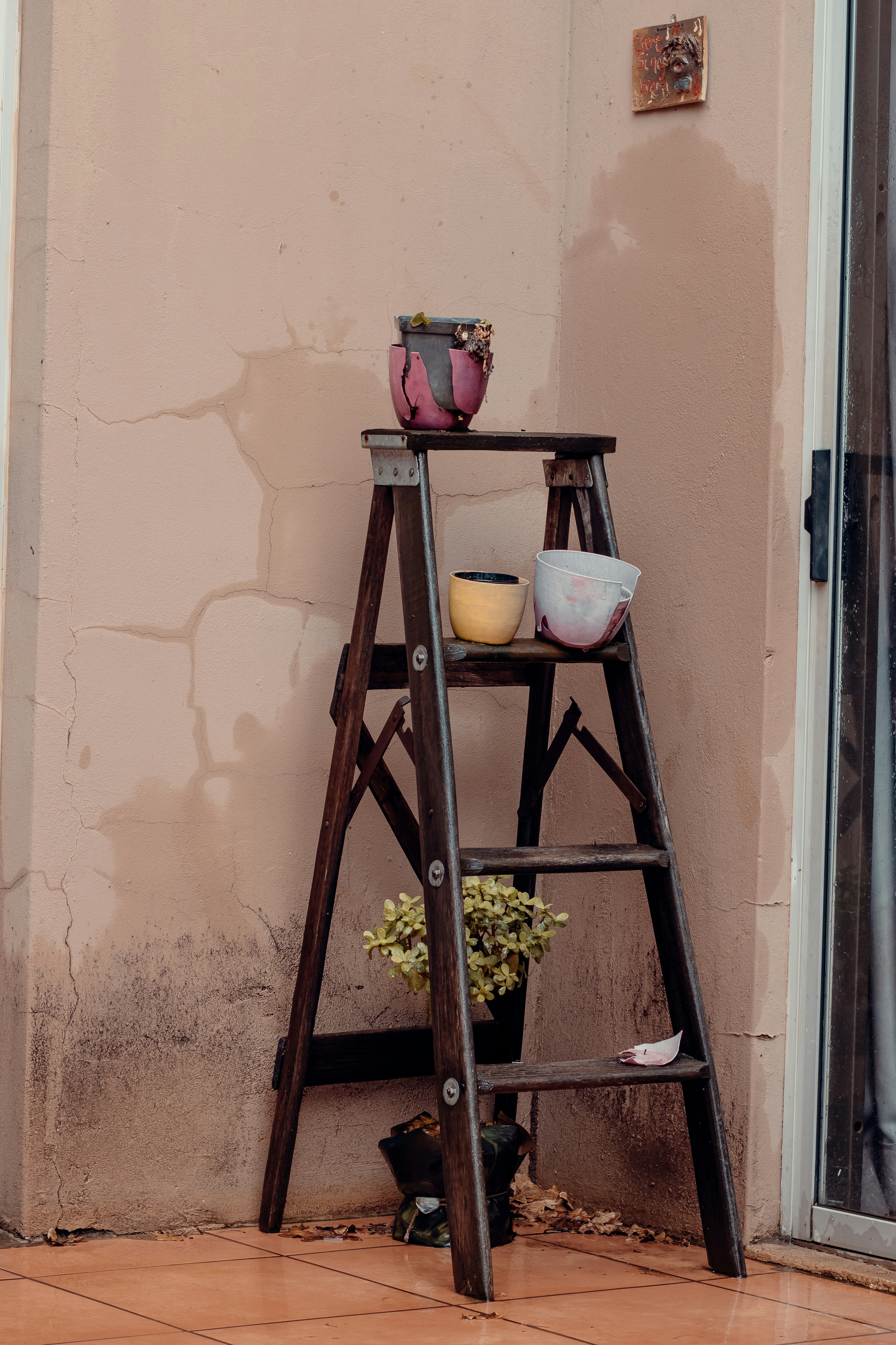 a wooden ladder with a potted plant on top of it