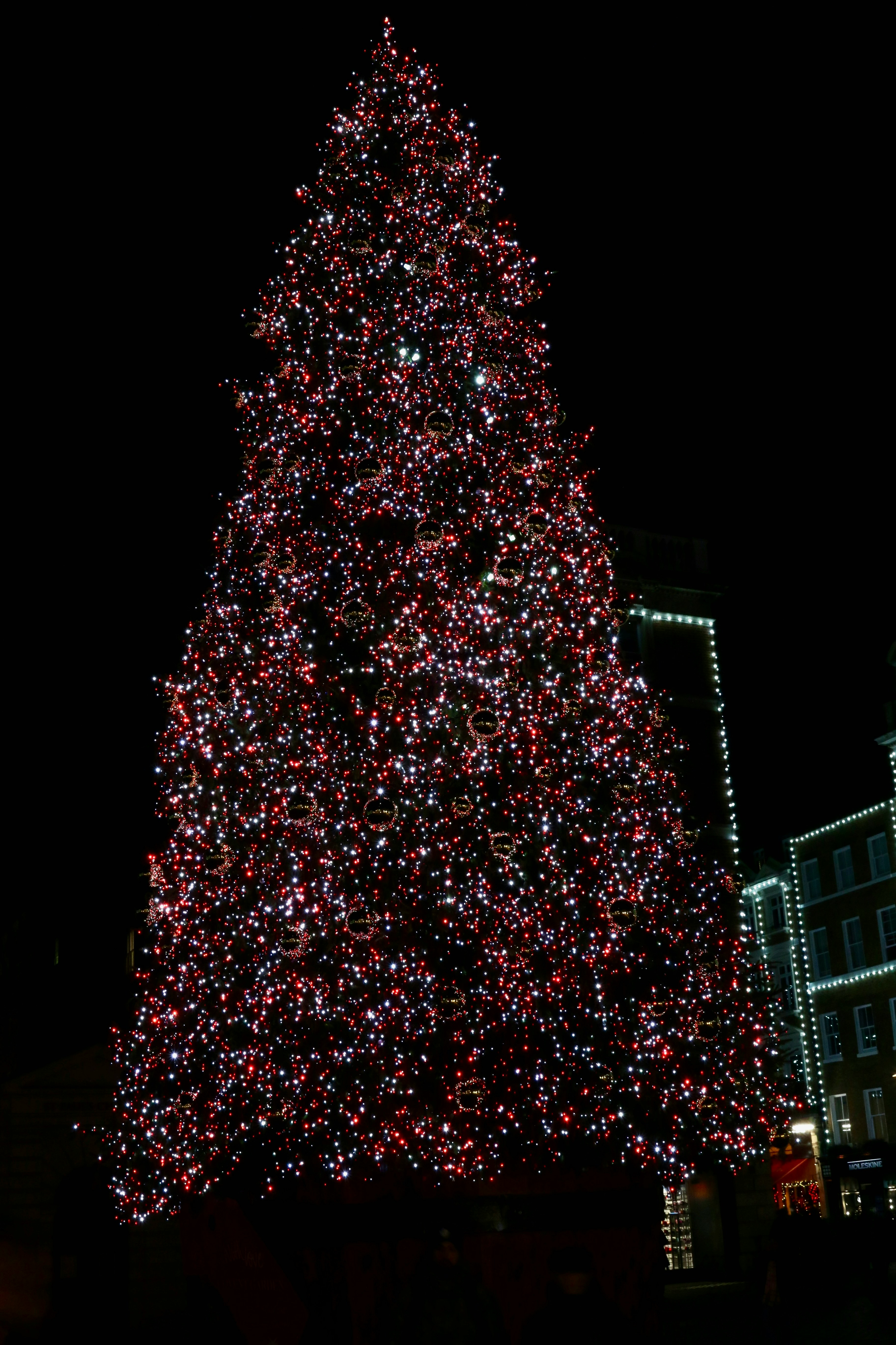 Midnight Yuletide Beacon: A Grand Christmas Tree in Winter Square