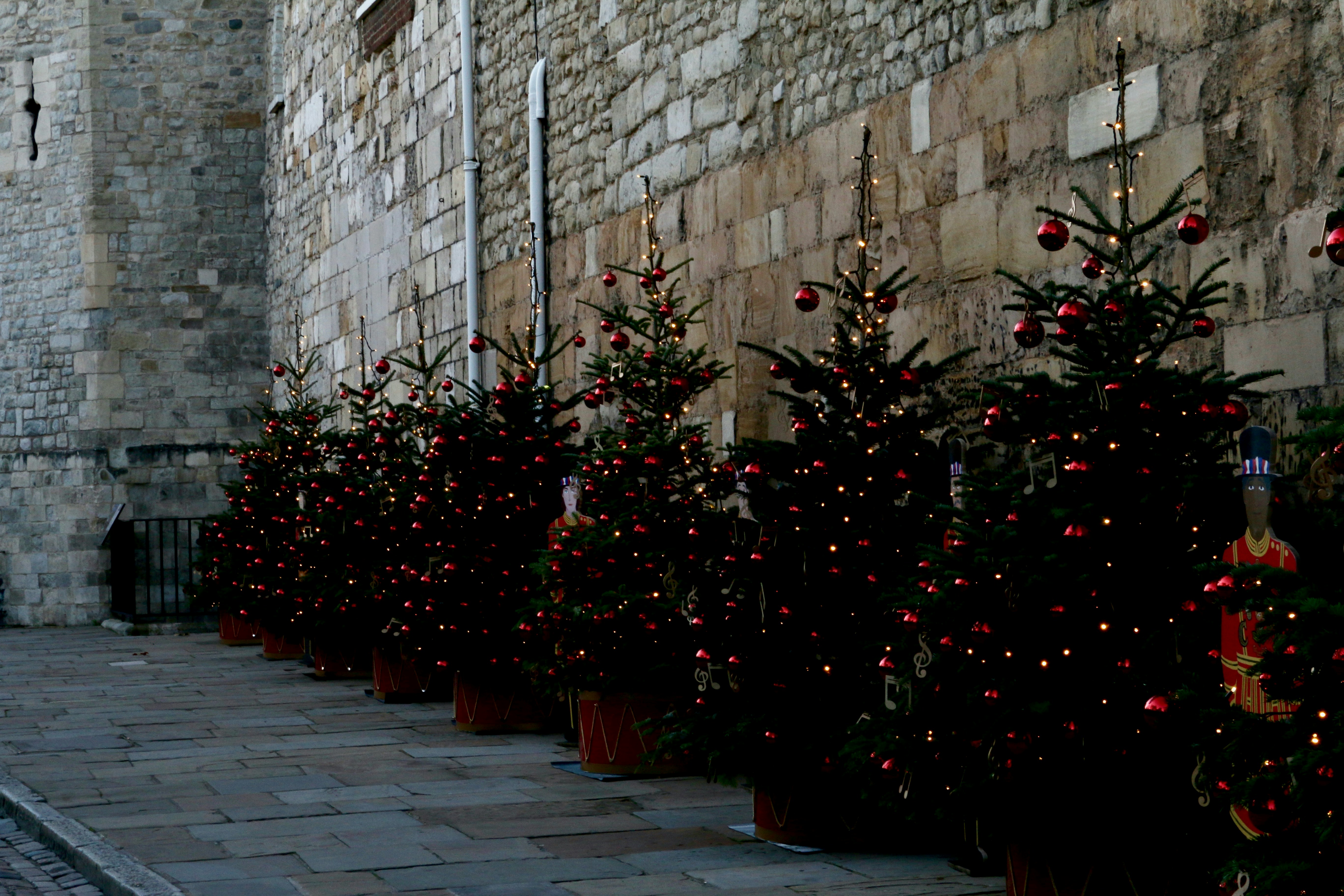 Row of Christmas trees in a stone courtyard