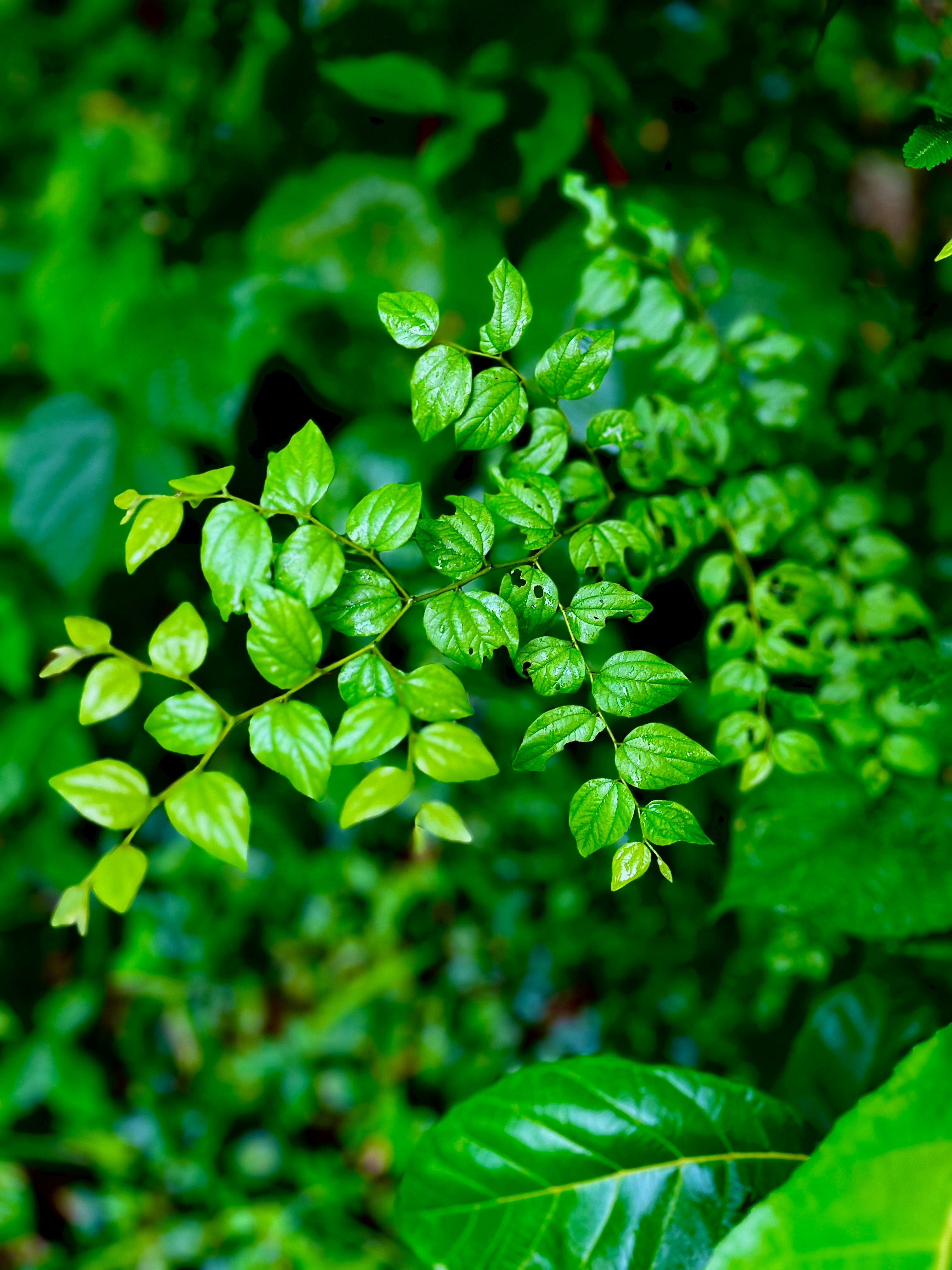 Raghavendra J Nath (@raghajnath) | Unsplash Photo Community