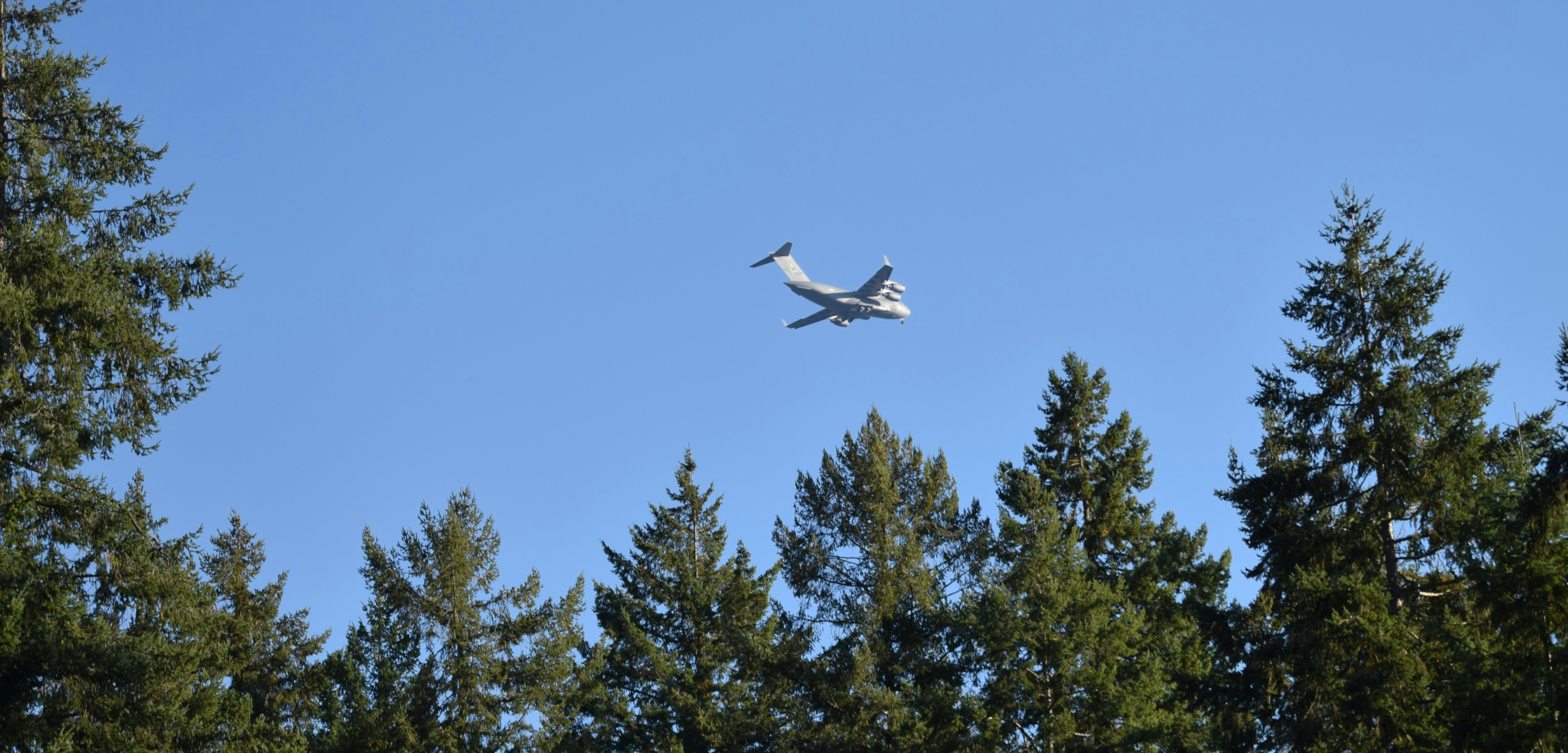 A plane flying over a forest of trees photo – Free Forest Image on Unsplash