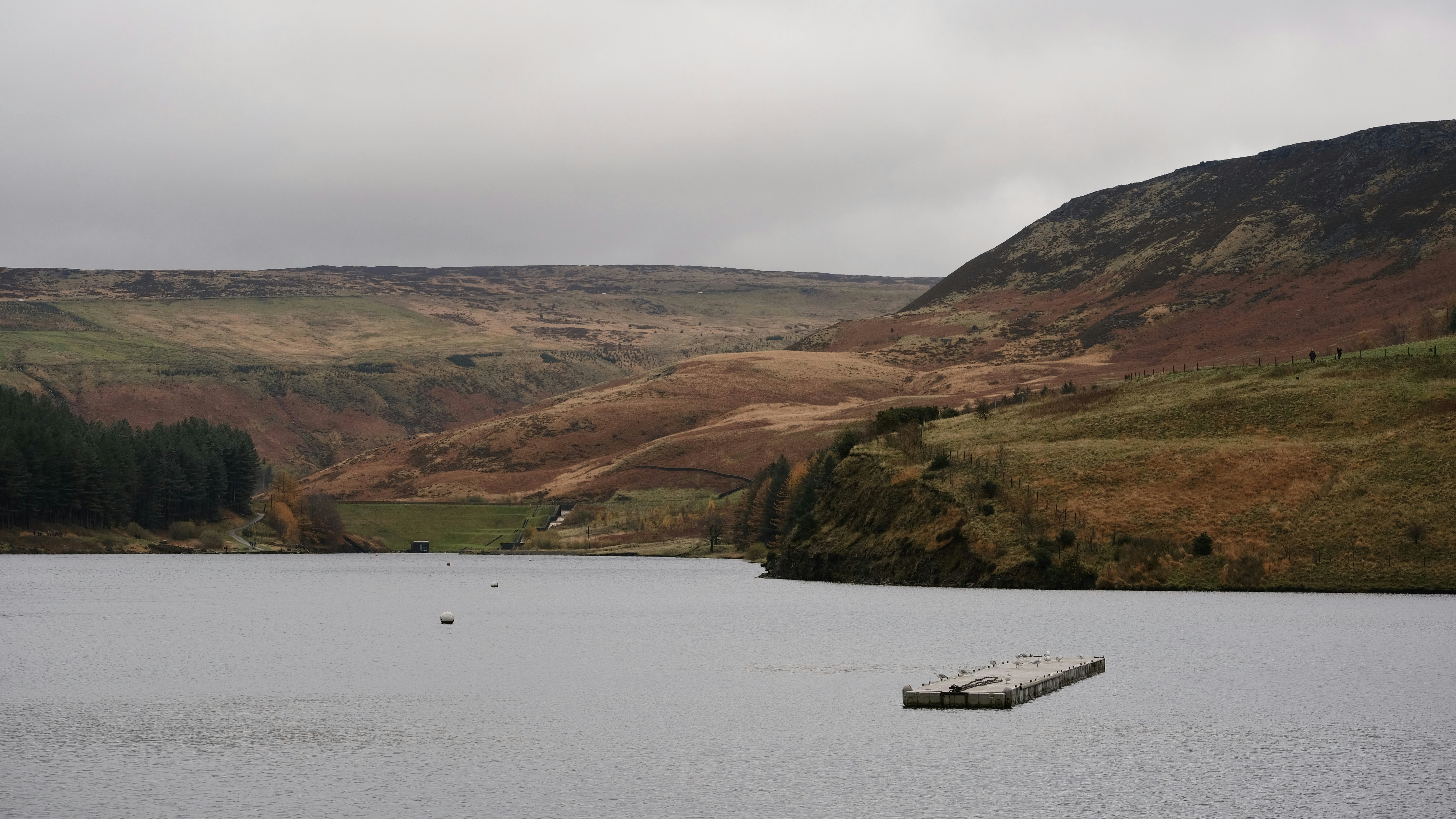 Please enjoy this picture of Dovestone Reservoir with a scenic backdrop, captured during the day at Dovestone Reservoir, UK. Photographed with a Fujifilm X-T3. For all enquiries, please contact me via Unsplash and I will endeavour to reply as soon as possible. Have a great day! [Rory Tucker / The Yorkshire Photographer]