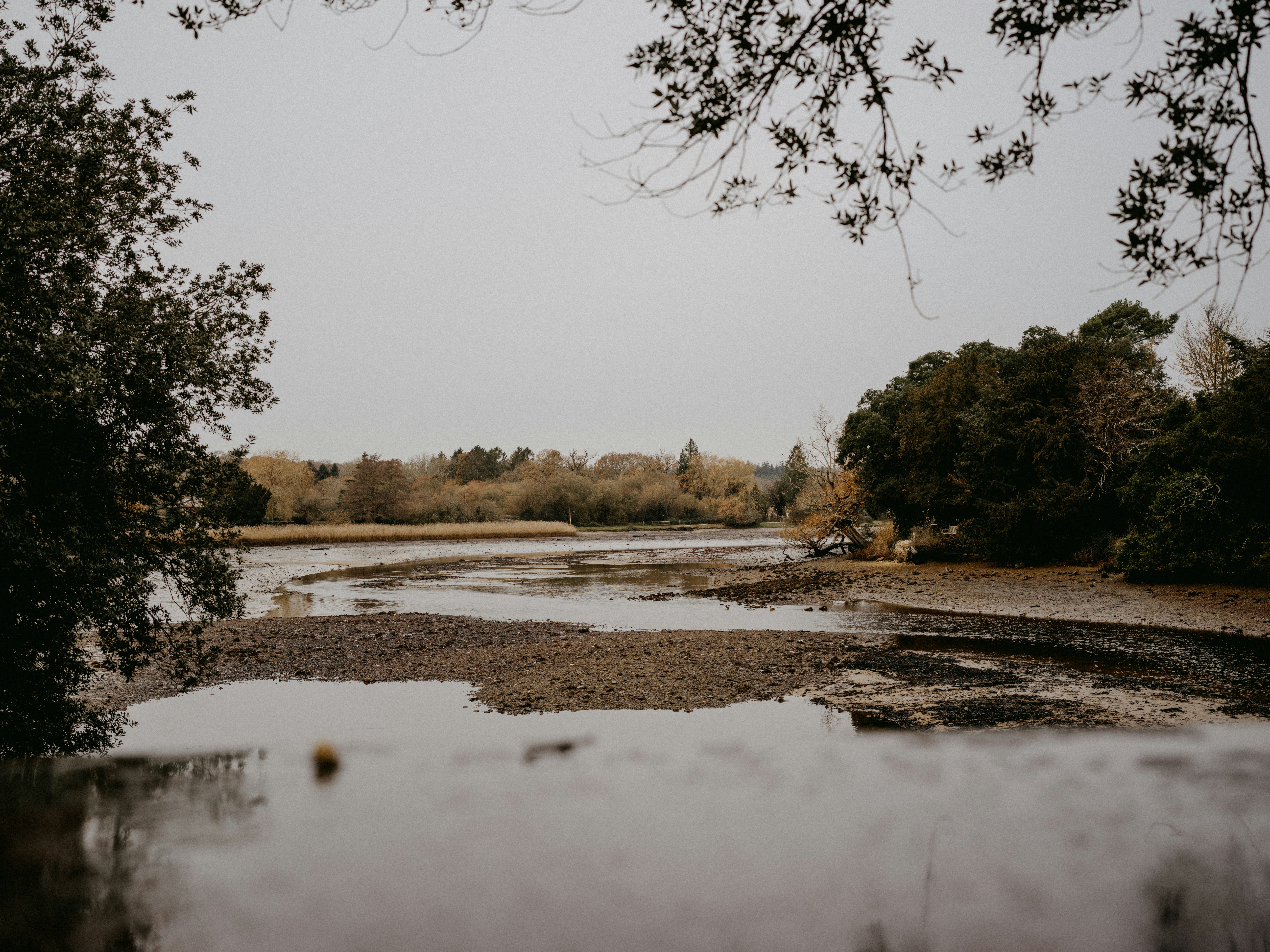 Photo by Annie Spratt with Hasselblad 907X 50C