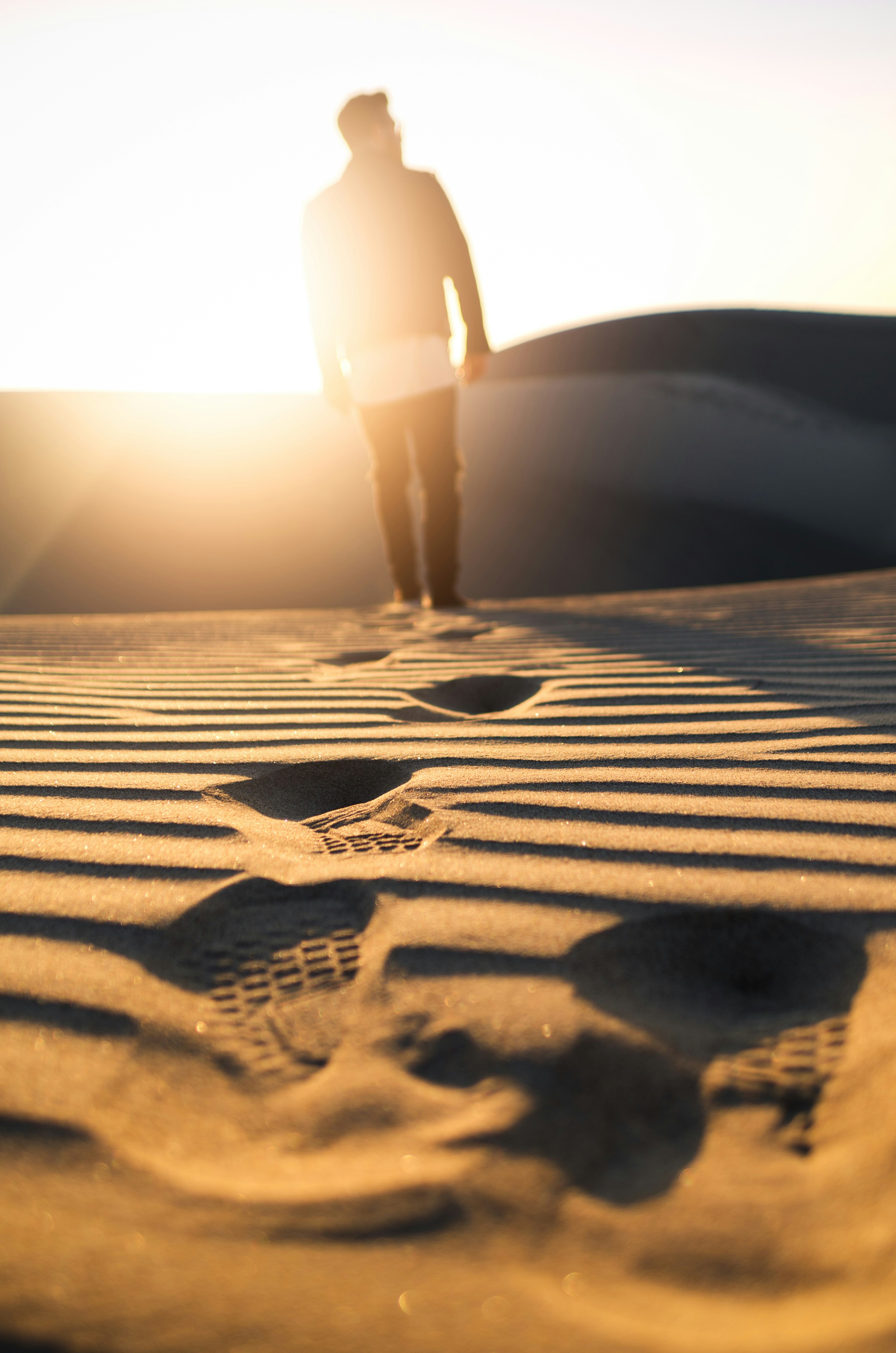 Horizon Walk: A Silhouette on Sun-Warmed Dunes
