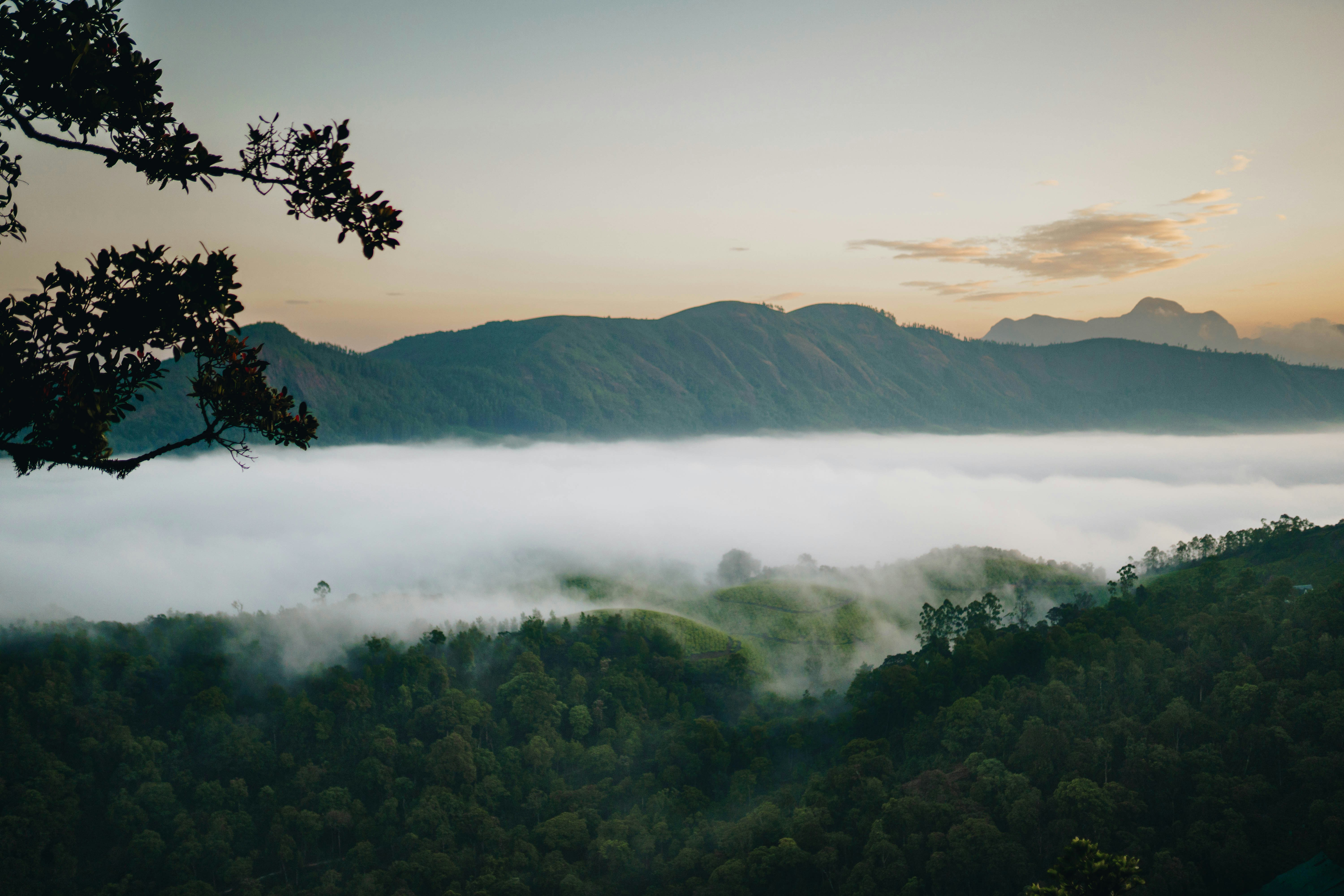 A view of a mountain covered in fog photo – Free Kerala Image on Unsplash