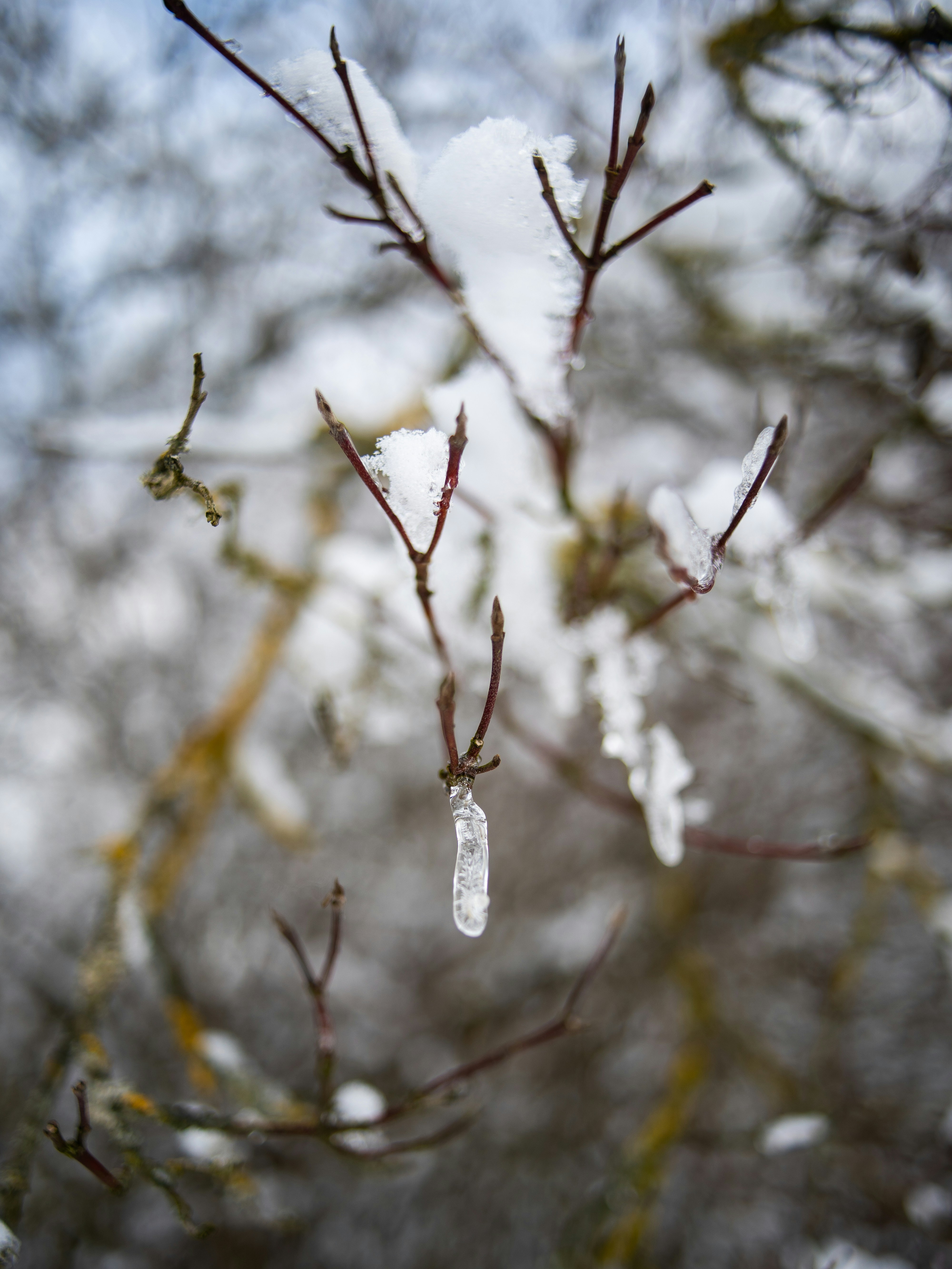 Icicle Pendant on Frosted Spindle