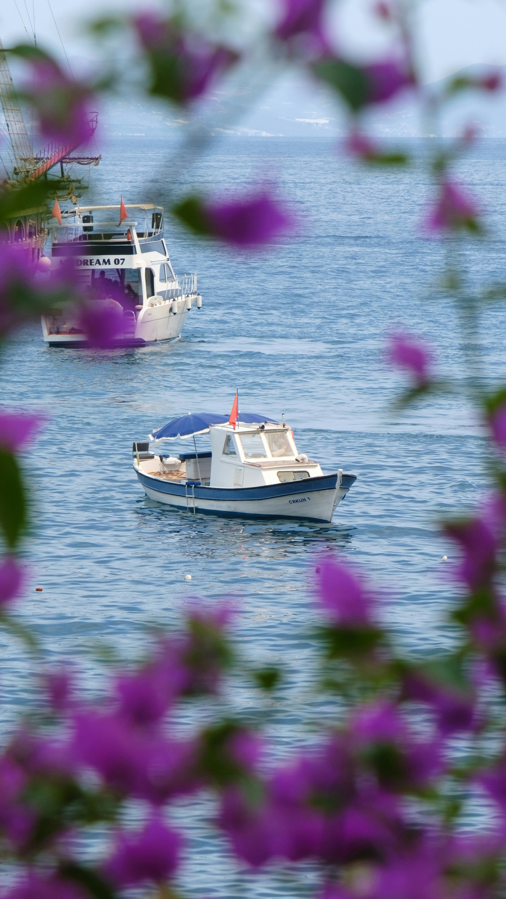 Beneath the Blurred Foliage: A Tranquil Boat Parade on Quiet Waters