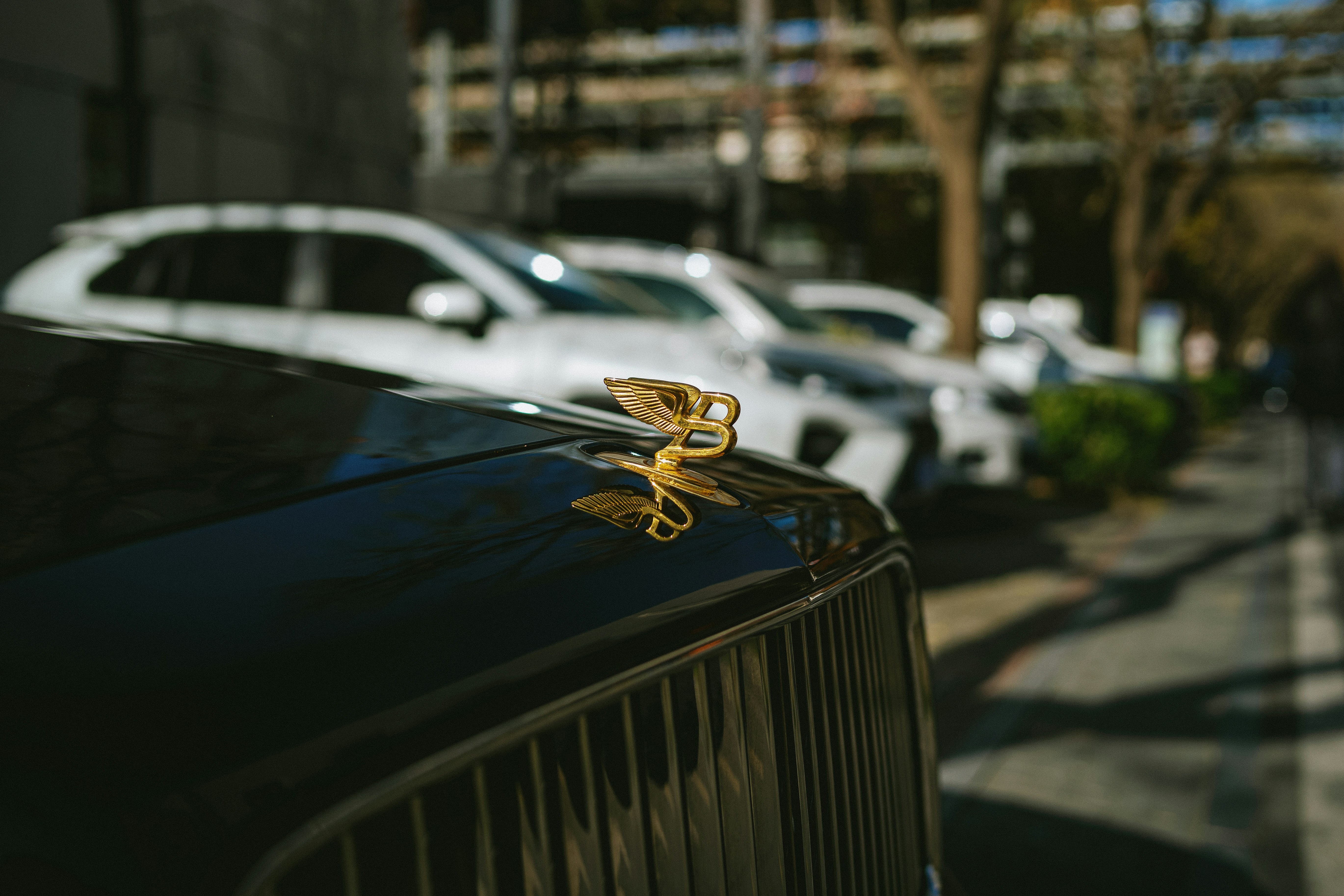 Gilded Spirit on a Midnight Grille: A Quiet Moment in the City