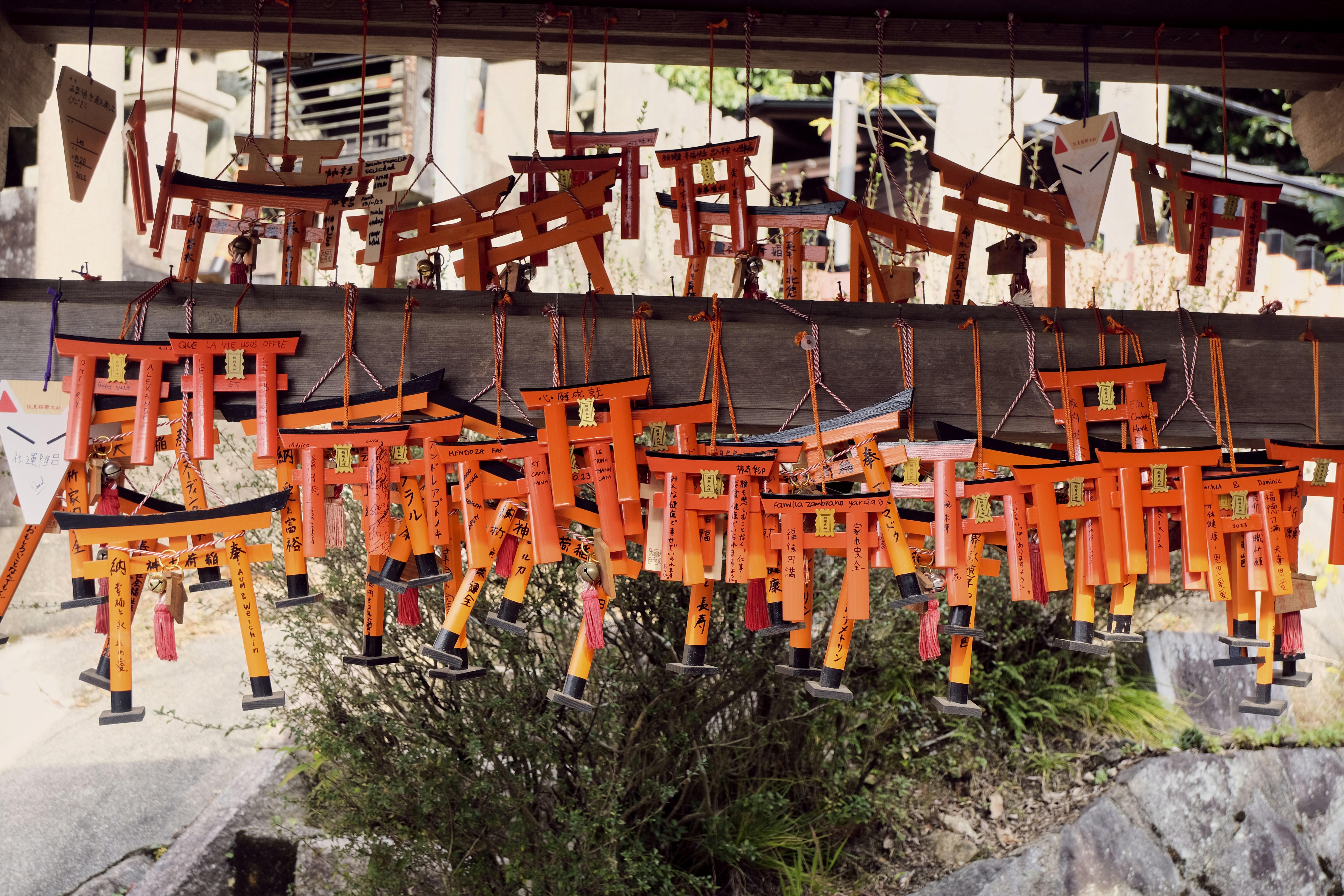 Vermilion Torii Corridor: A Dense Forest of Shrine Gates
