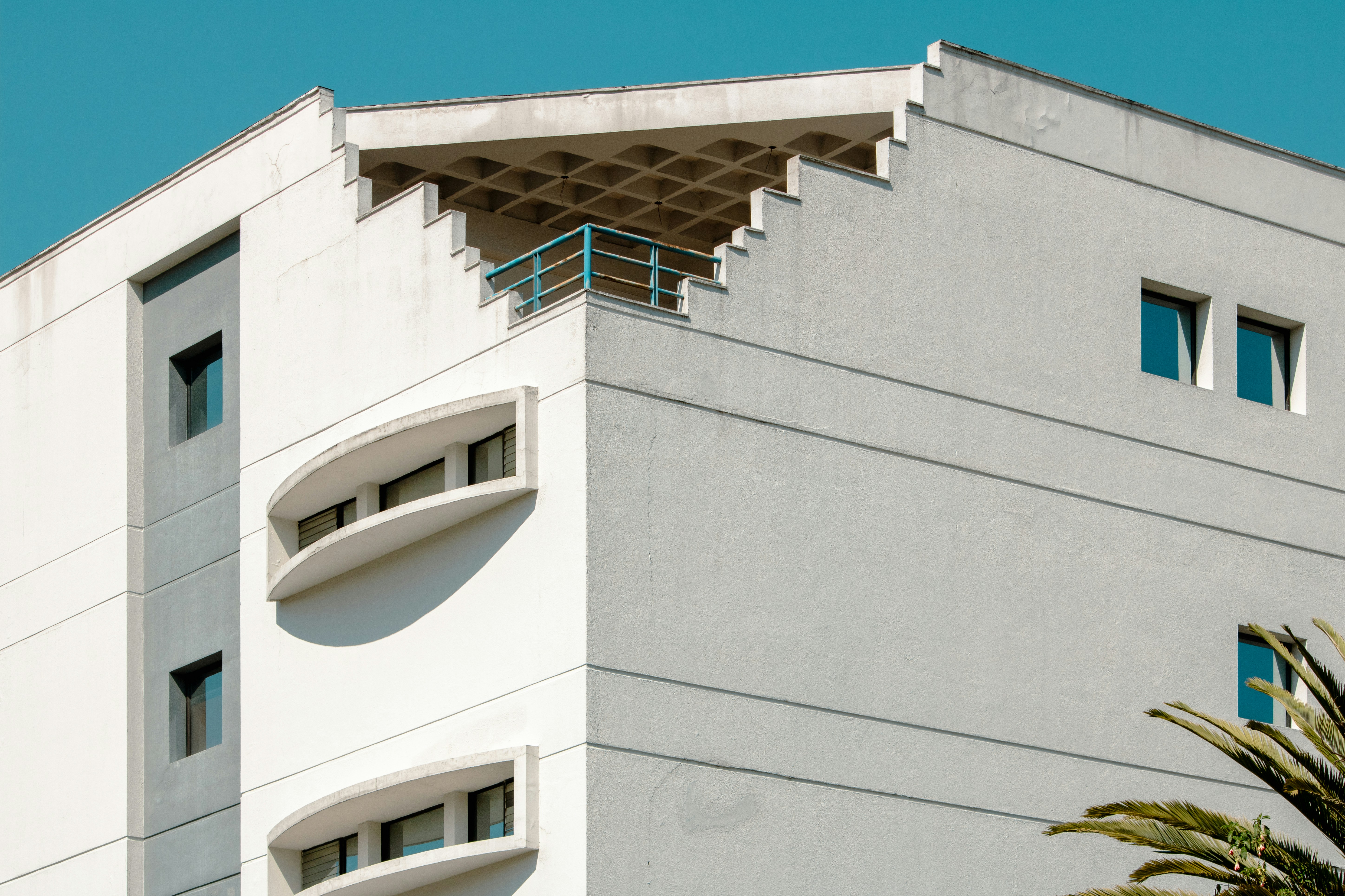 Modern white building with distinct balconies and a palm tree against a blue sky.