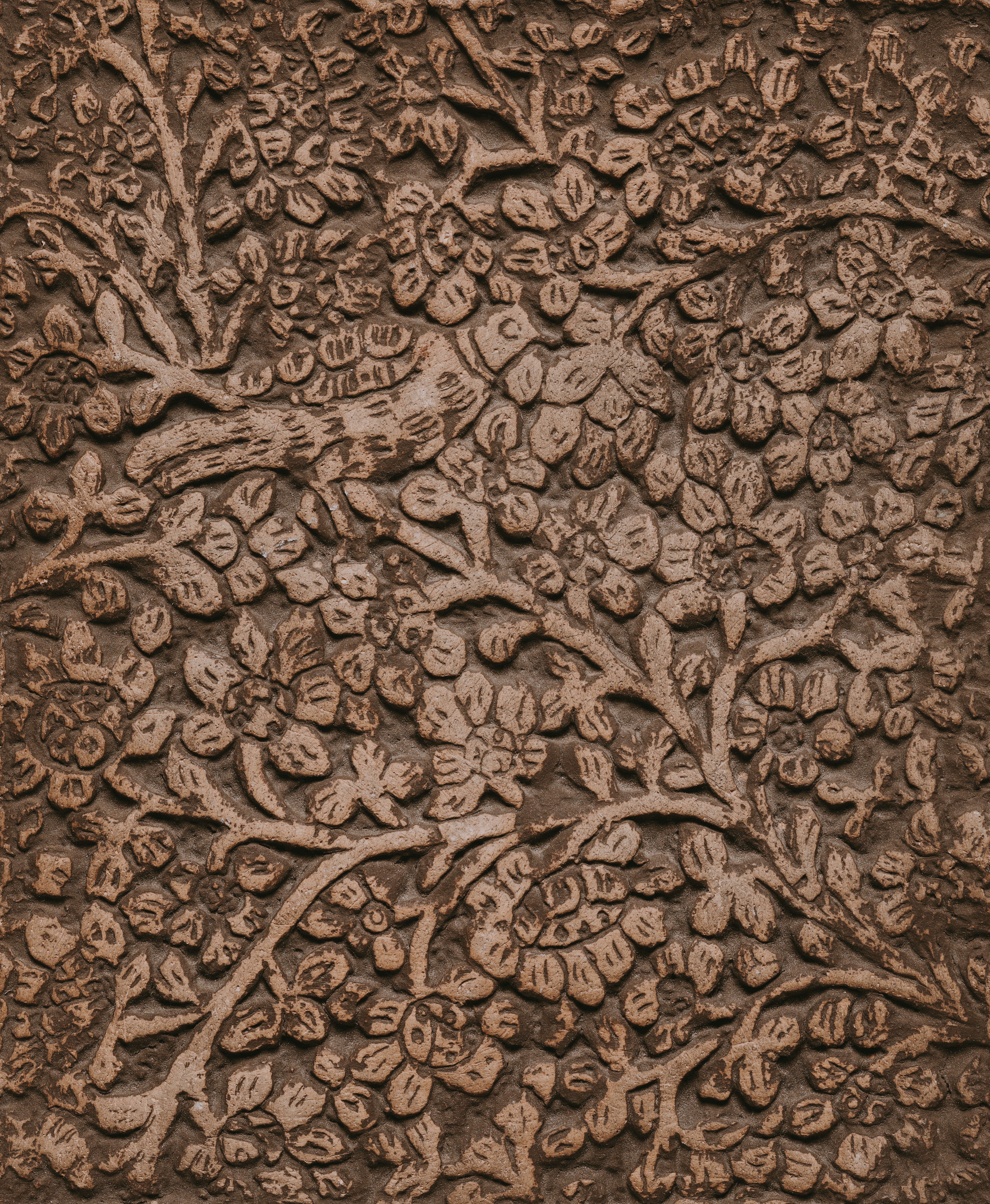 Dark Brown Texture Pictures | Download Free Images on Unsplash