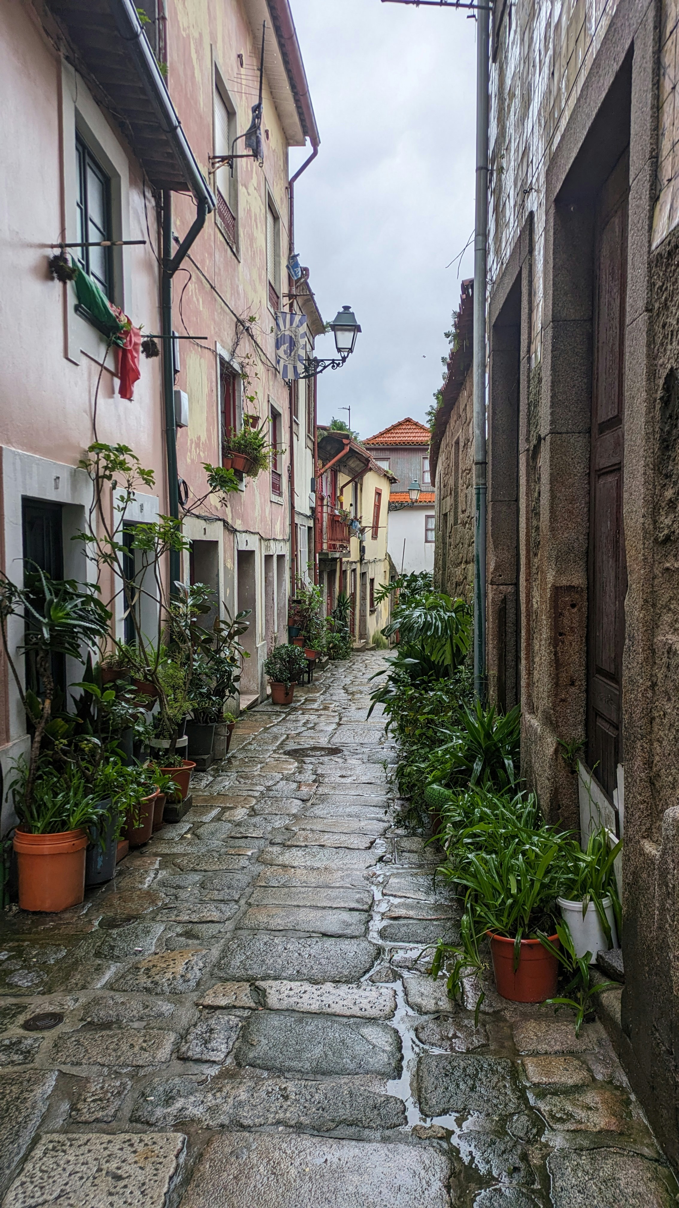 Photo by Kier Allen with Google Pixel 7a