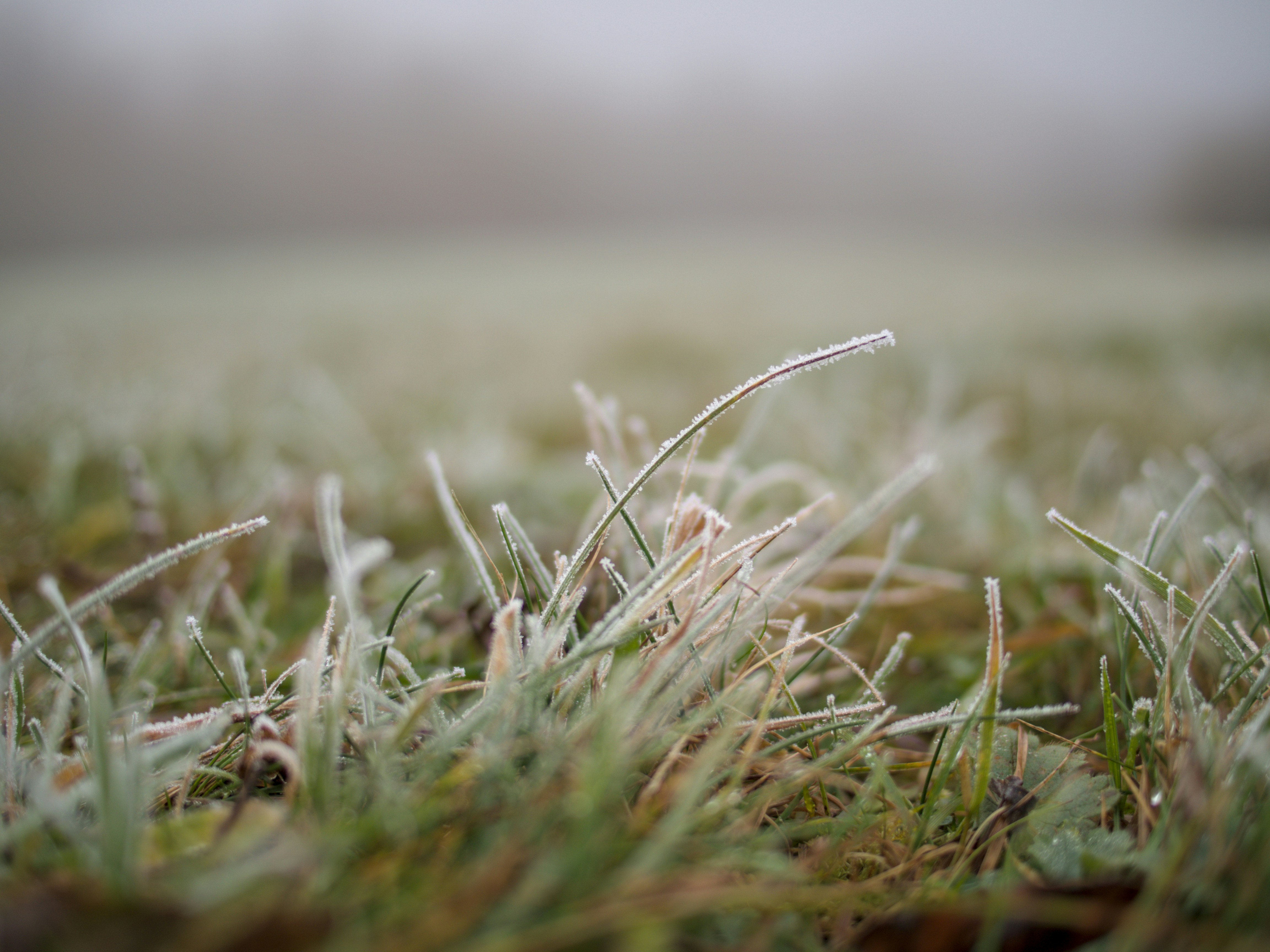 Photo by Alex Harwood with Olympus PEN E-PL10