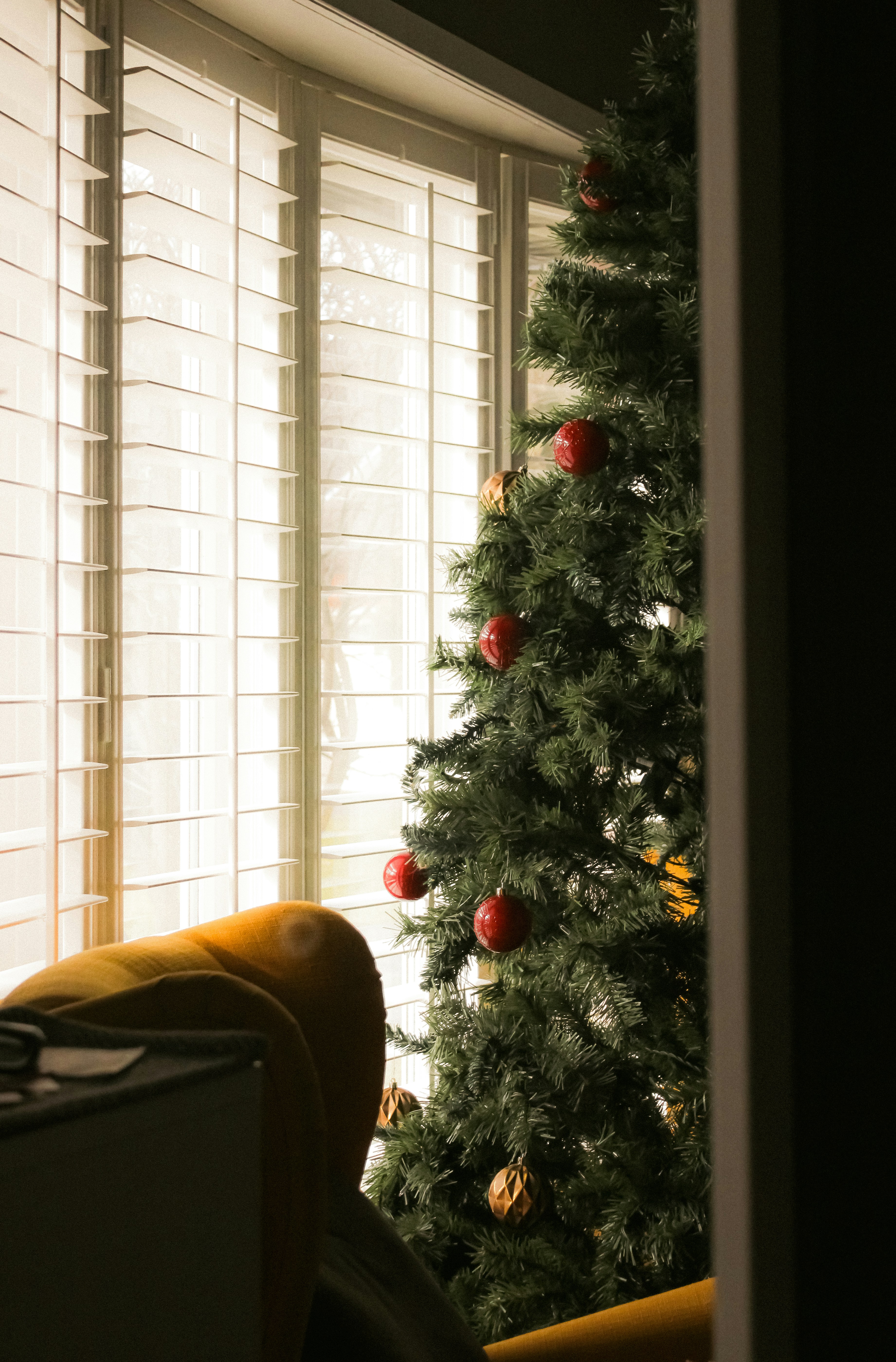 A small christmas tree in front of a window photo – Free Tree Image on ...