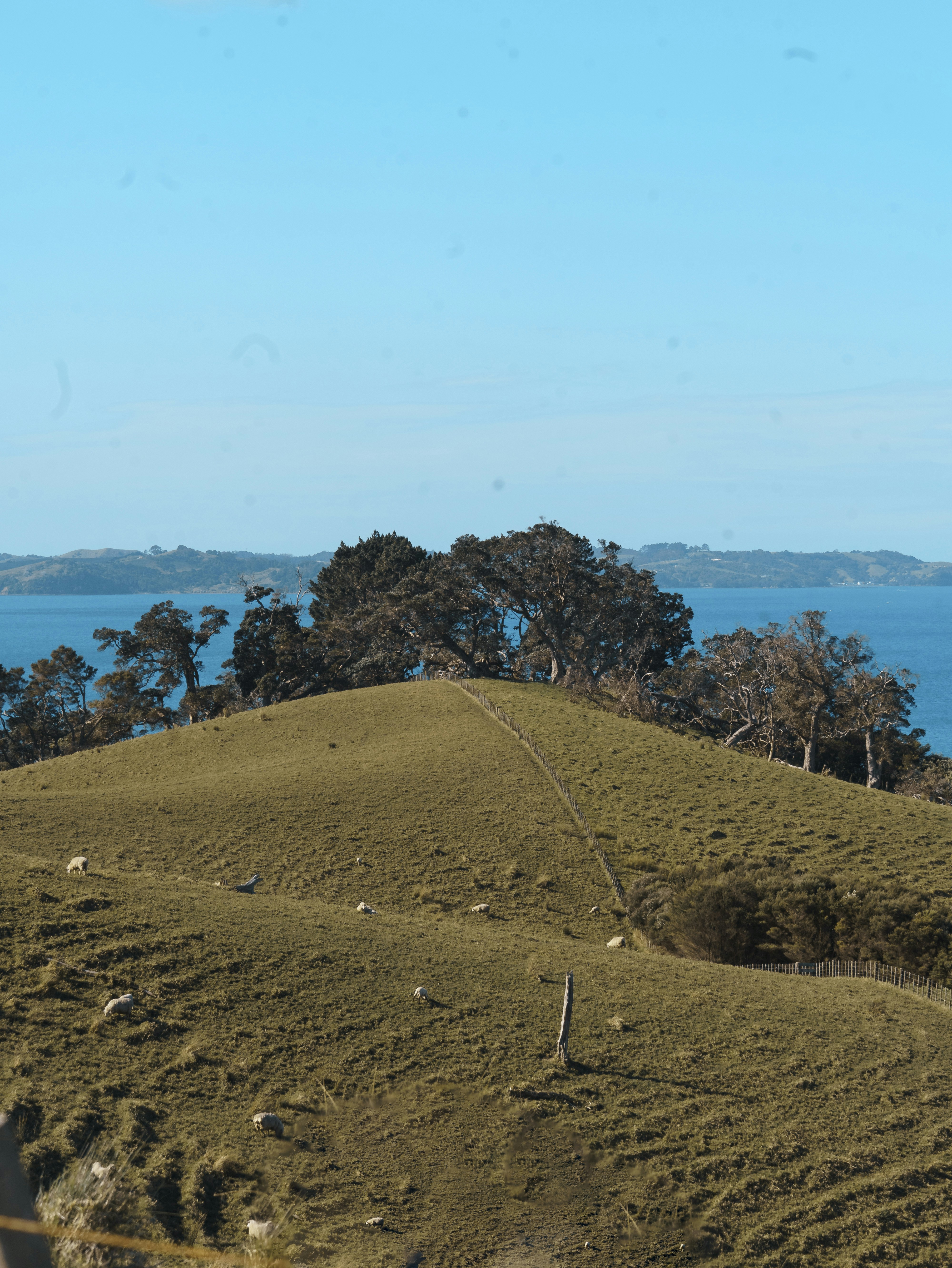 Photo by Mario Amé with Sony Alpha 7C