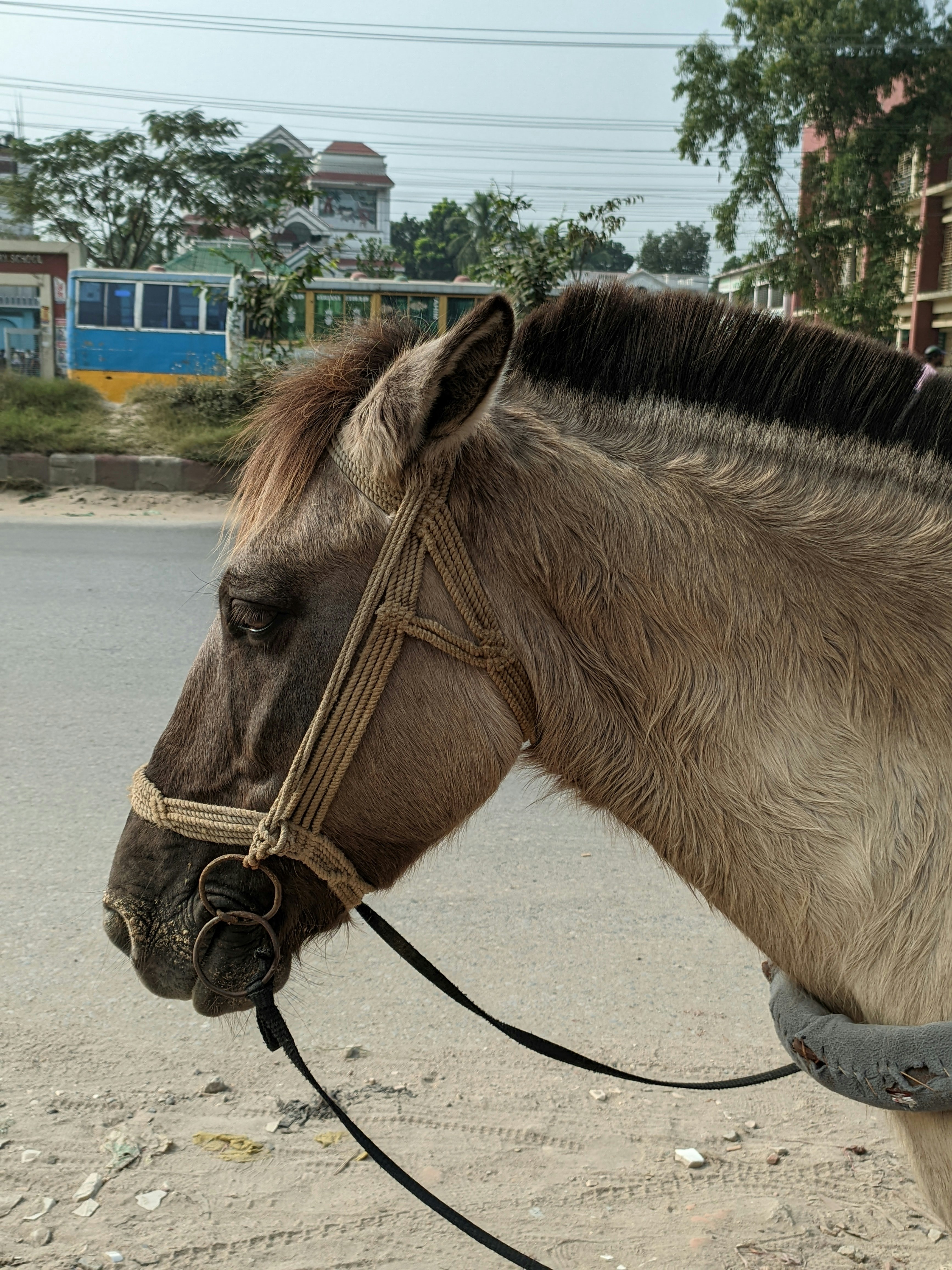 Realme GT Master Sample Shots