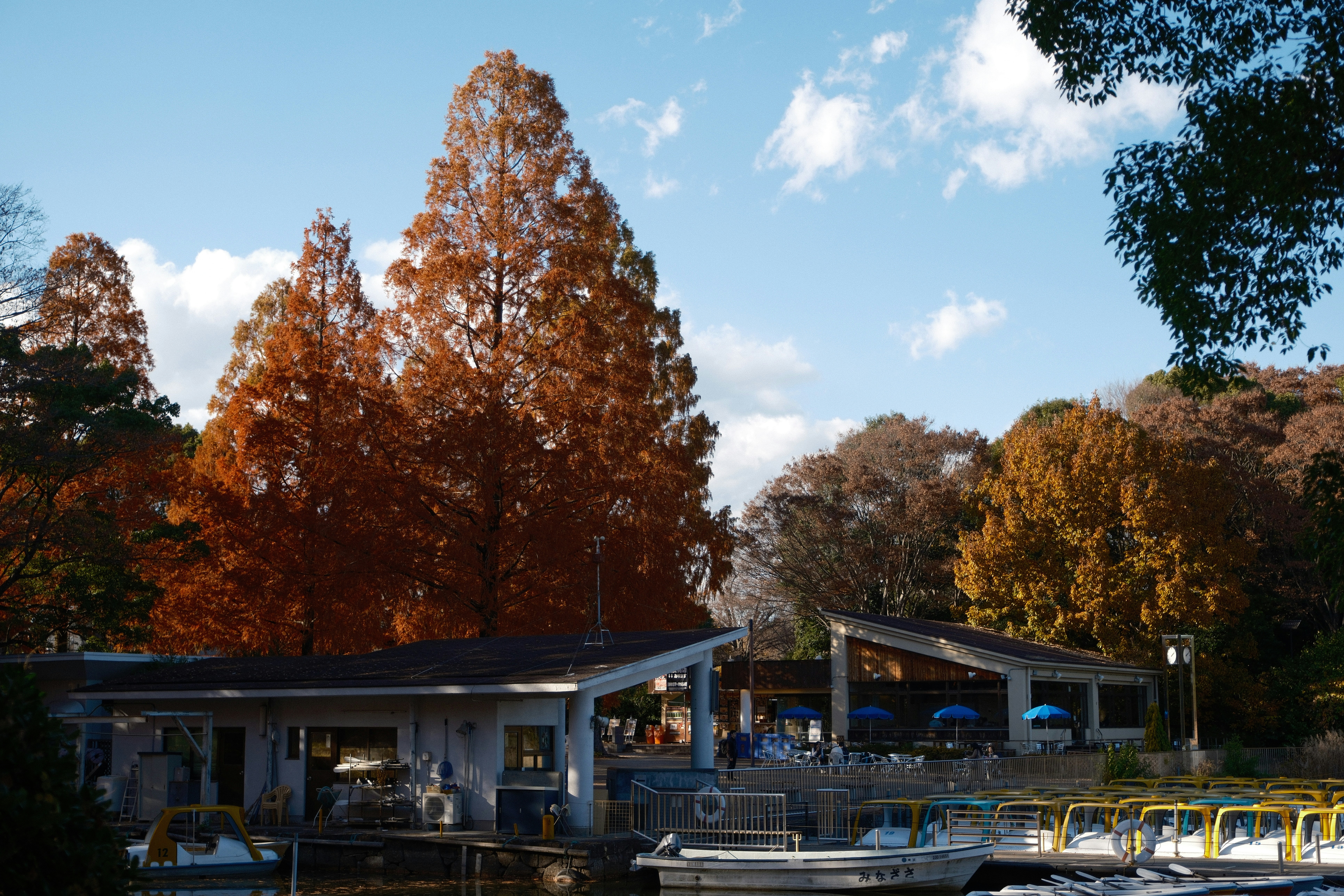 Riverside Café Under Copper Autumn Trees