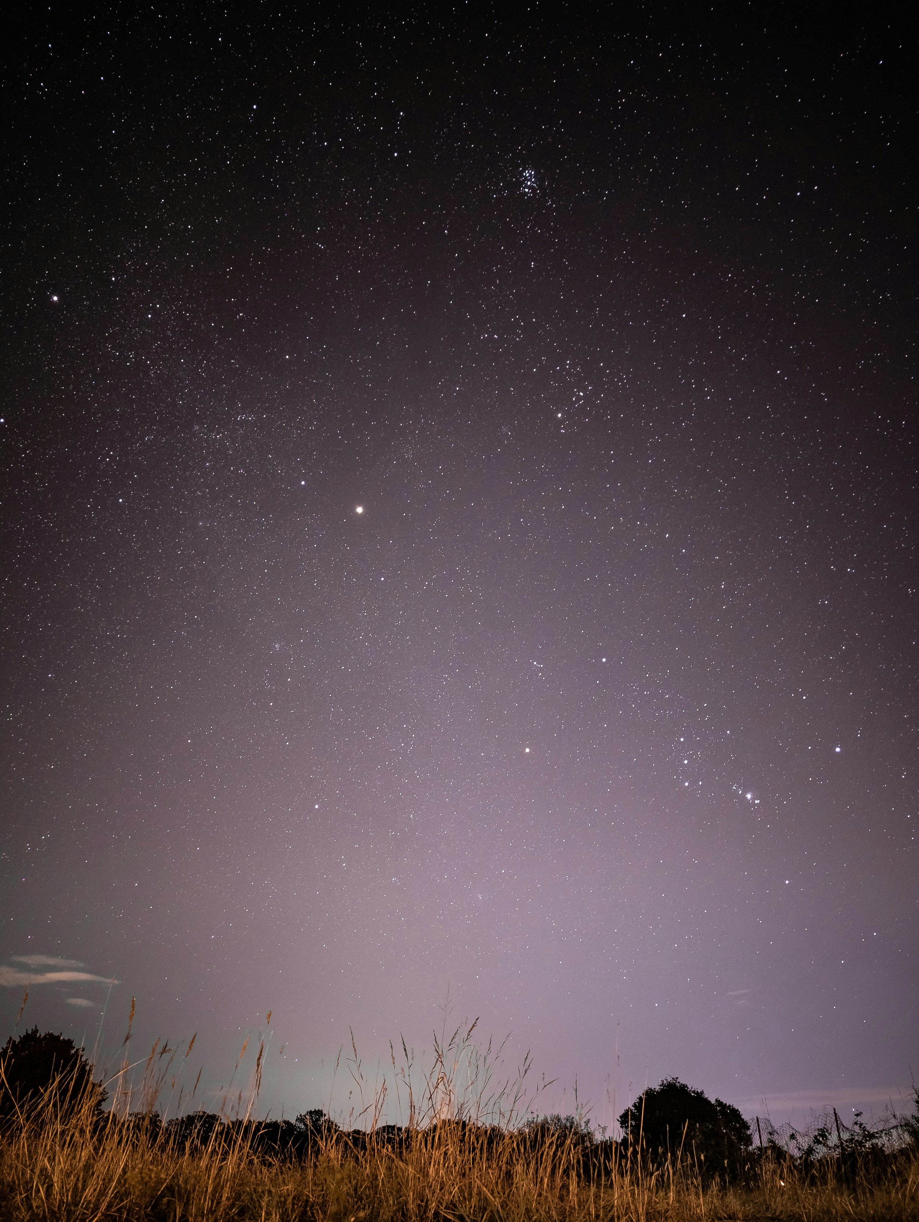 The night sky is filled with stars and grass photo – Free Usa Image on ...