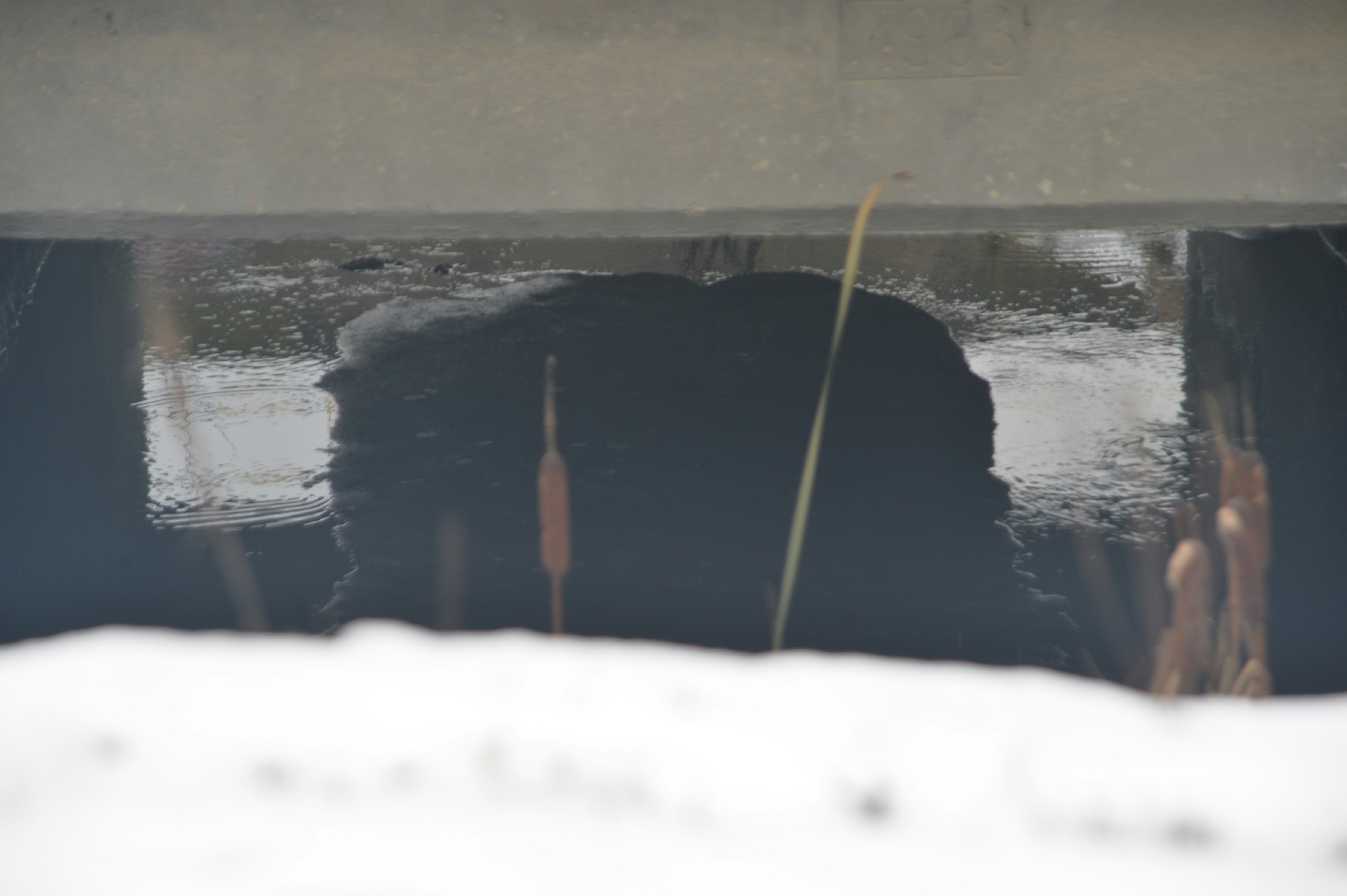 Photo by Balikó András with Nikon Df