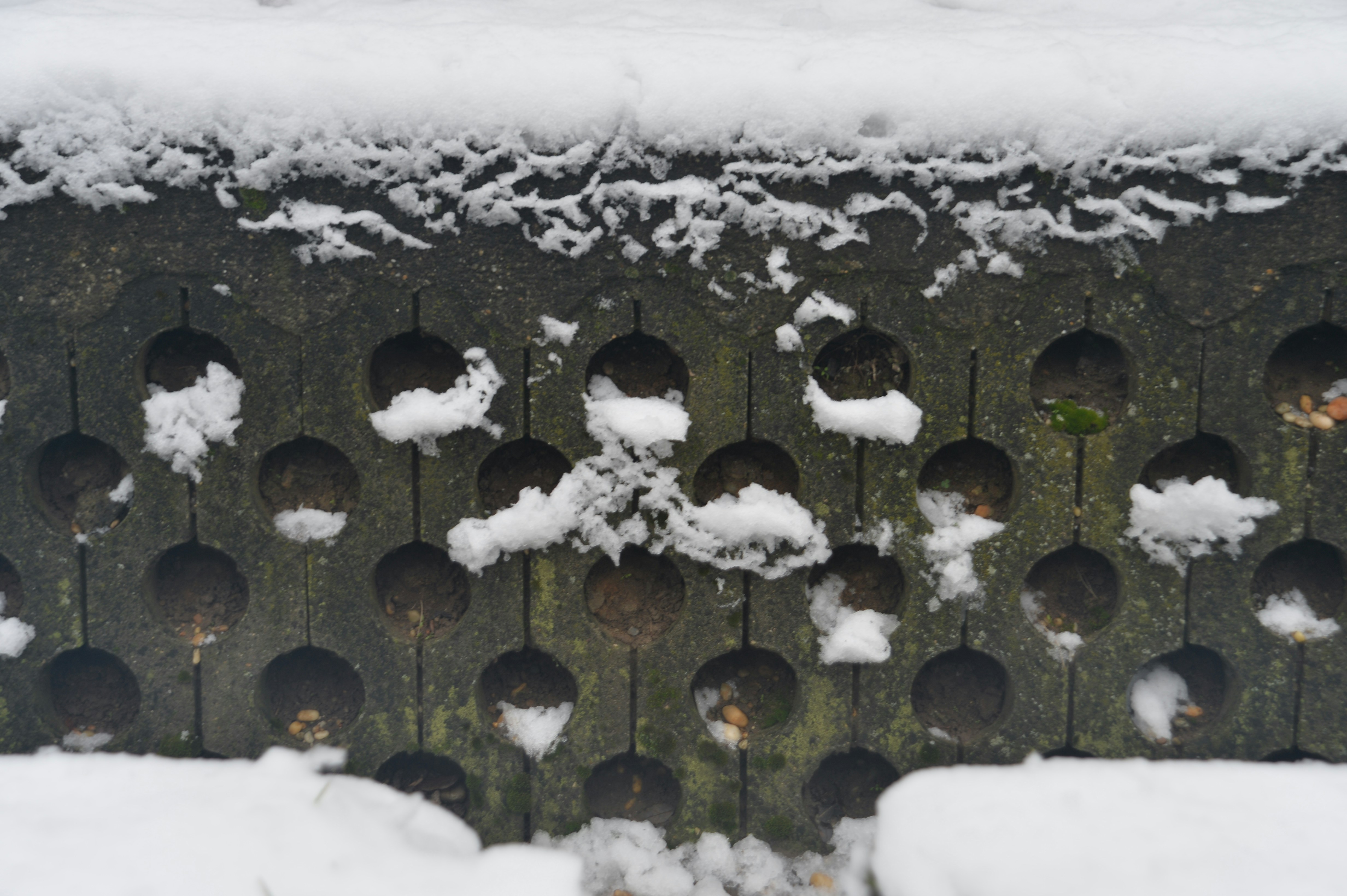 Snow-Lace on a Moss-Covered Vent Grate