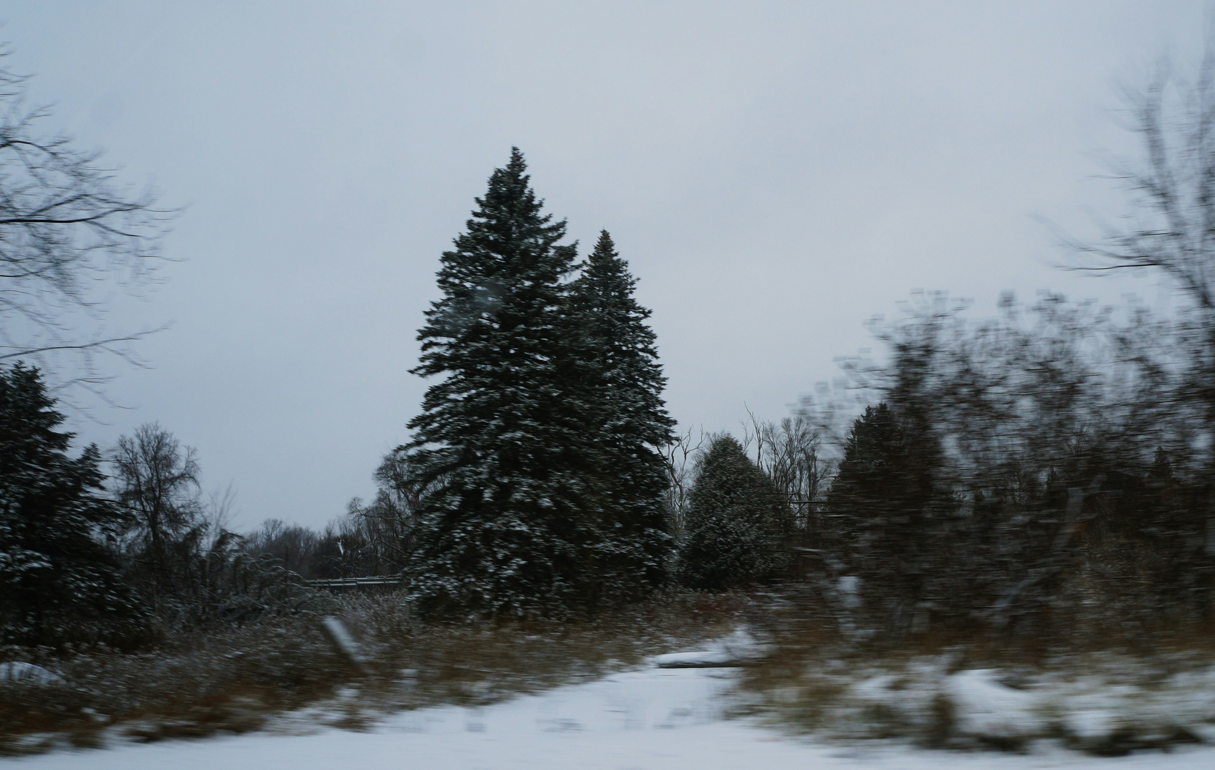 a snow covered road with trees in the backgroundEirene Thoms