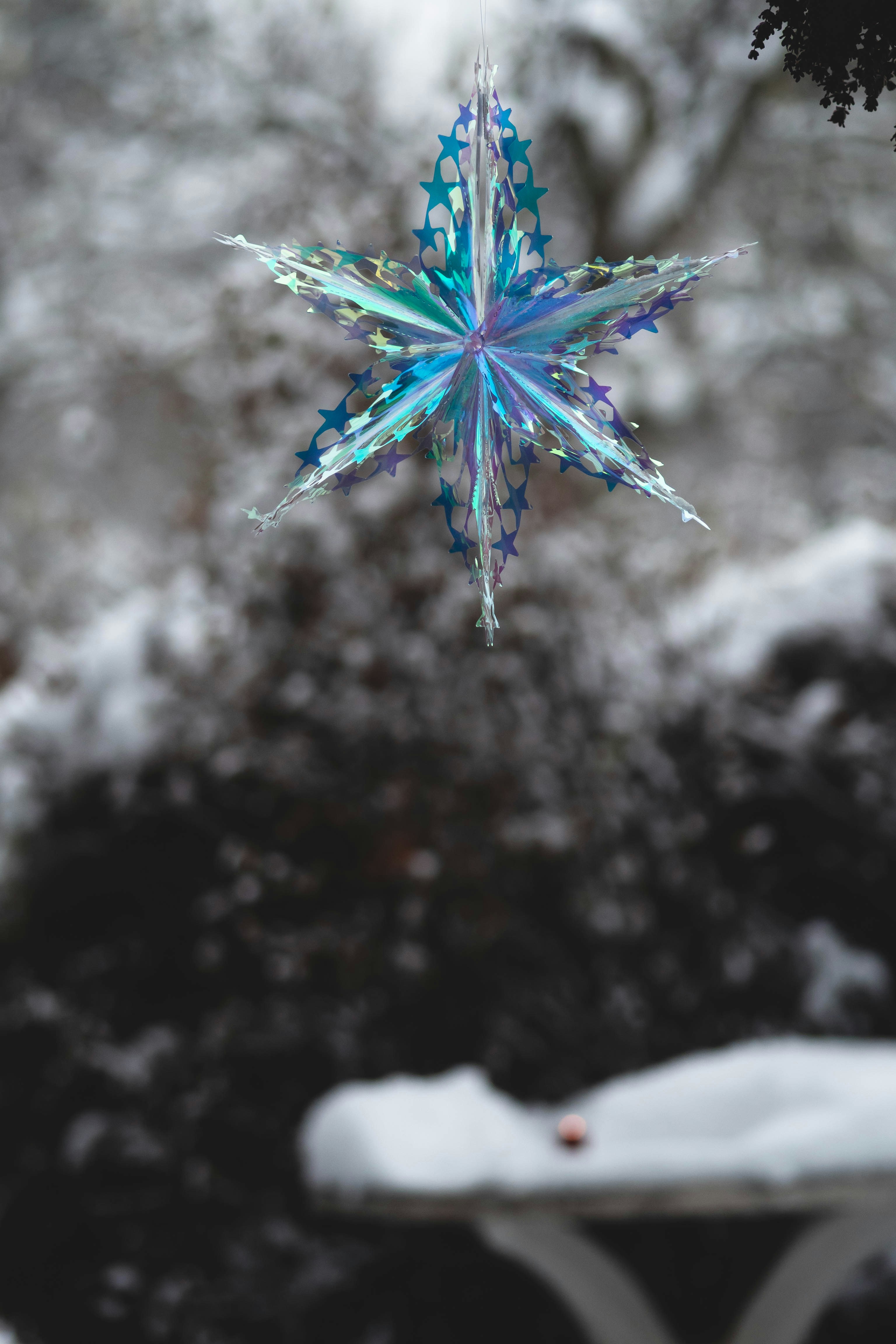Prismatic Snowflake: A Crystal Star Dangling in Winter Silence
