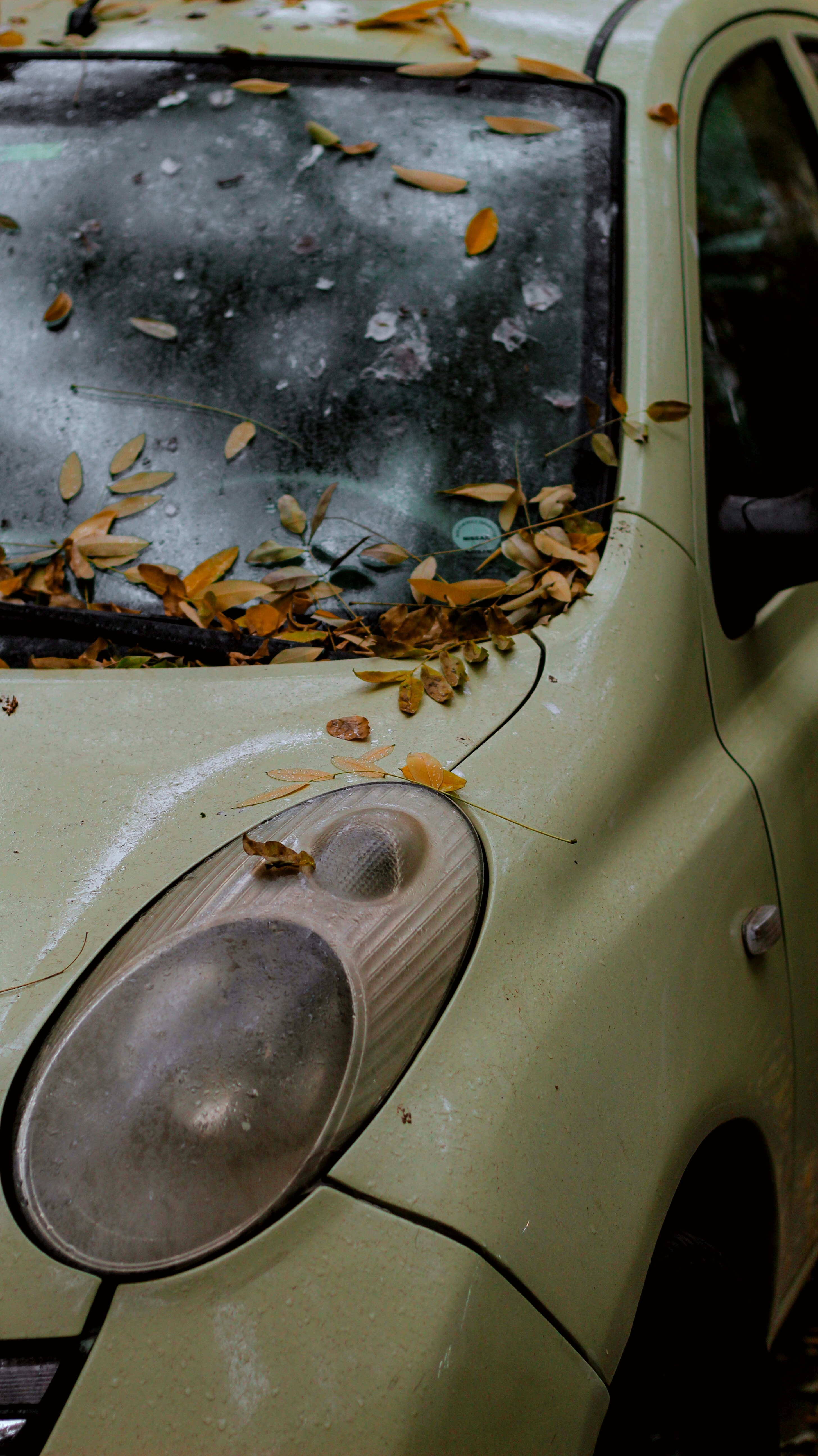 Mint-Glow Commuter Enveloped by Frost and Autumn Leaves