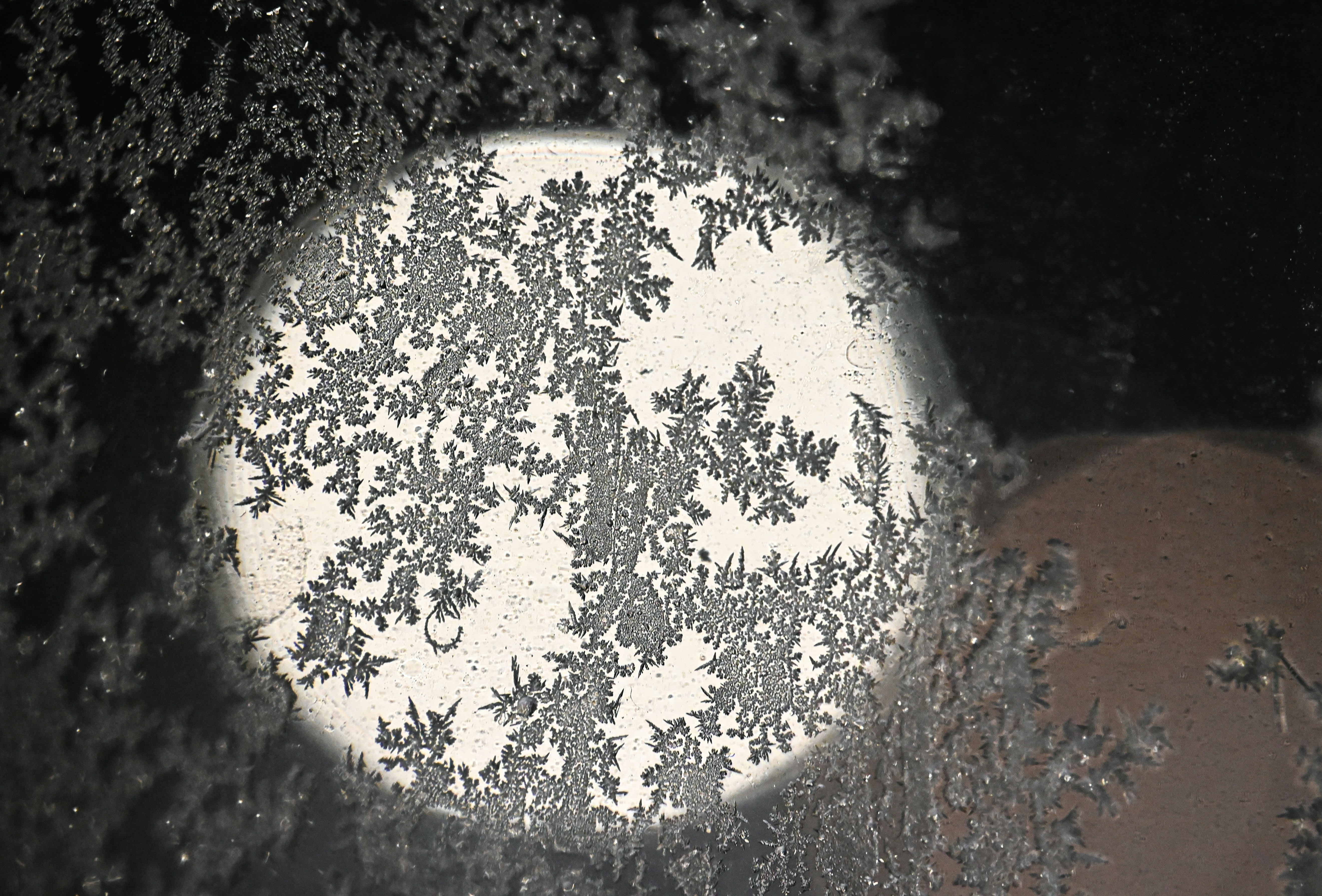 Intricate frost formations on a glass surface under a bright light.
