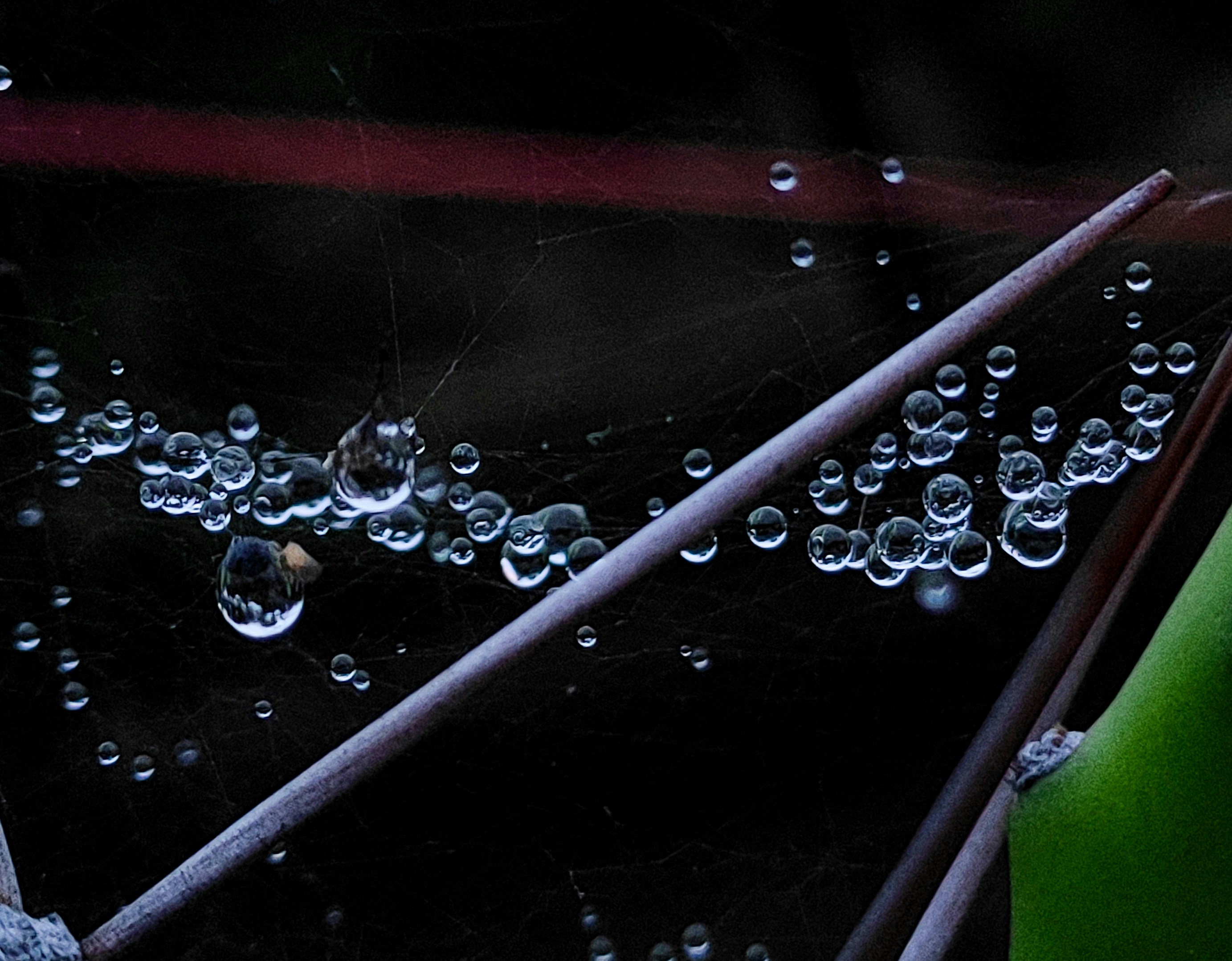 a spider web with water droplets on it